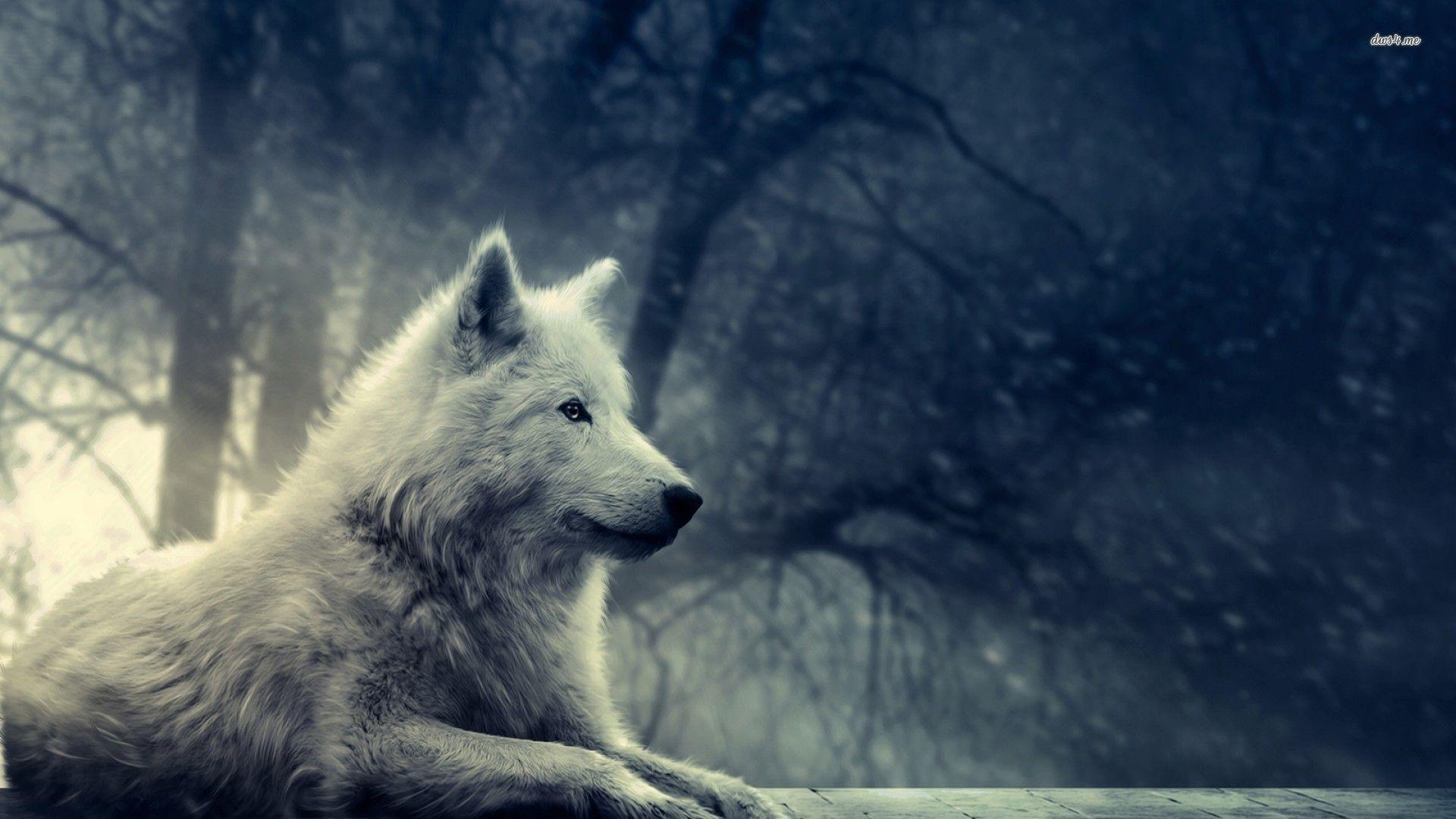 Epic Wolves Wallpapers - Top Free Epic Wolves Backgrounds - WallpaperAccess