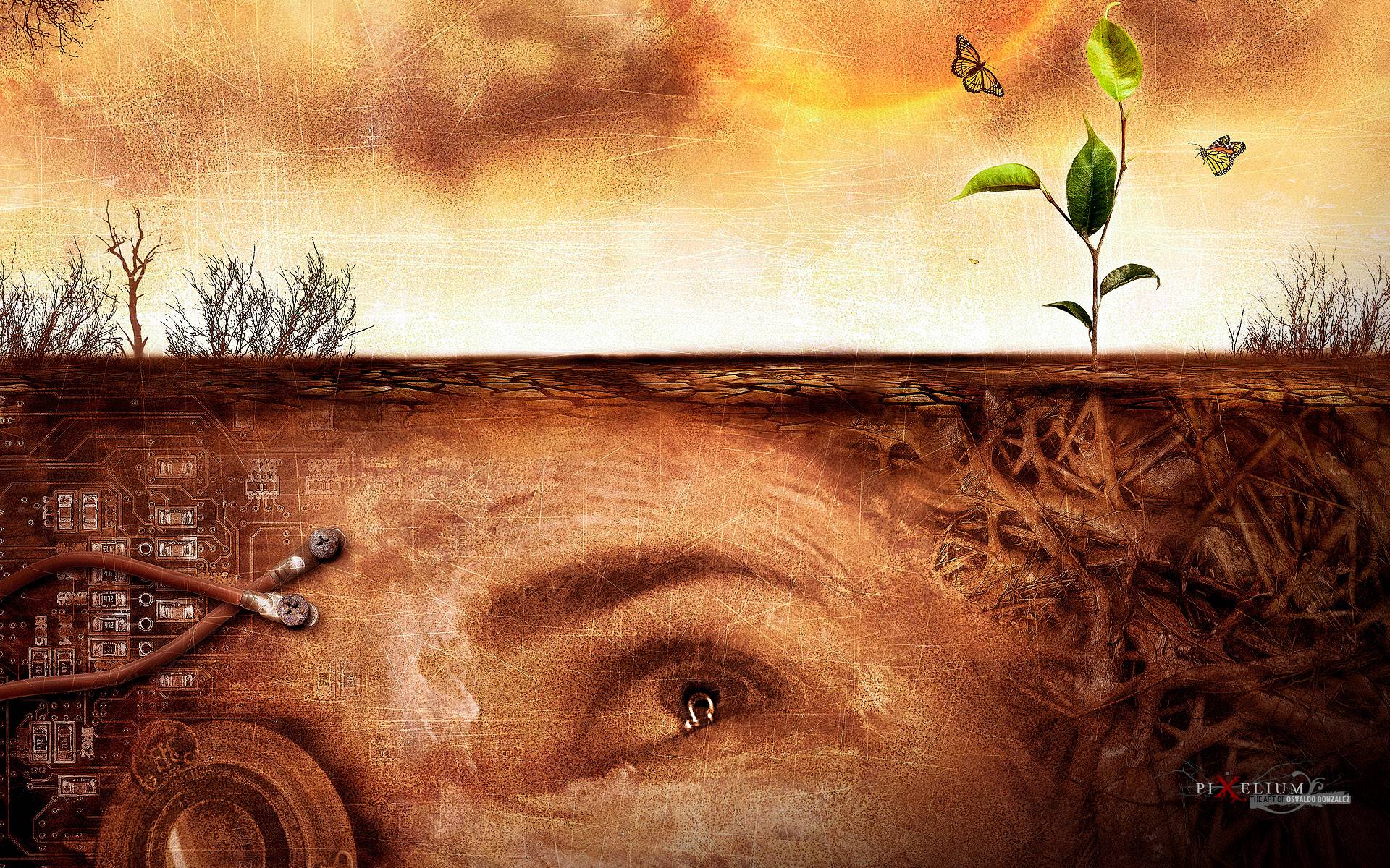 Surrealist Wallpapers - Top Free Surrealist Backgrounds - WallpaperAccess