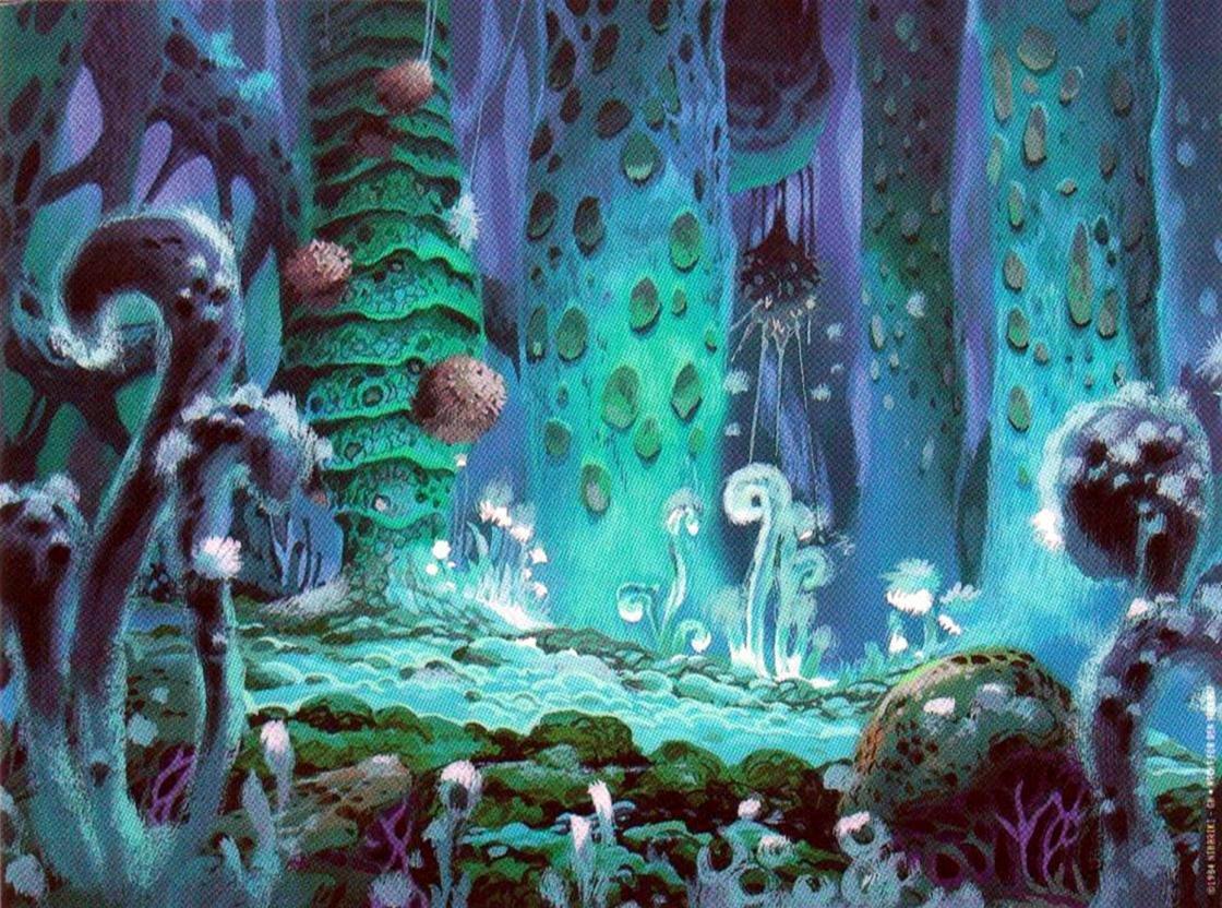 Nausicaa Wallpapers - Top Free Nausicaa Backgrounds - WallpaperAccess