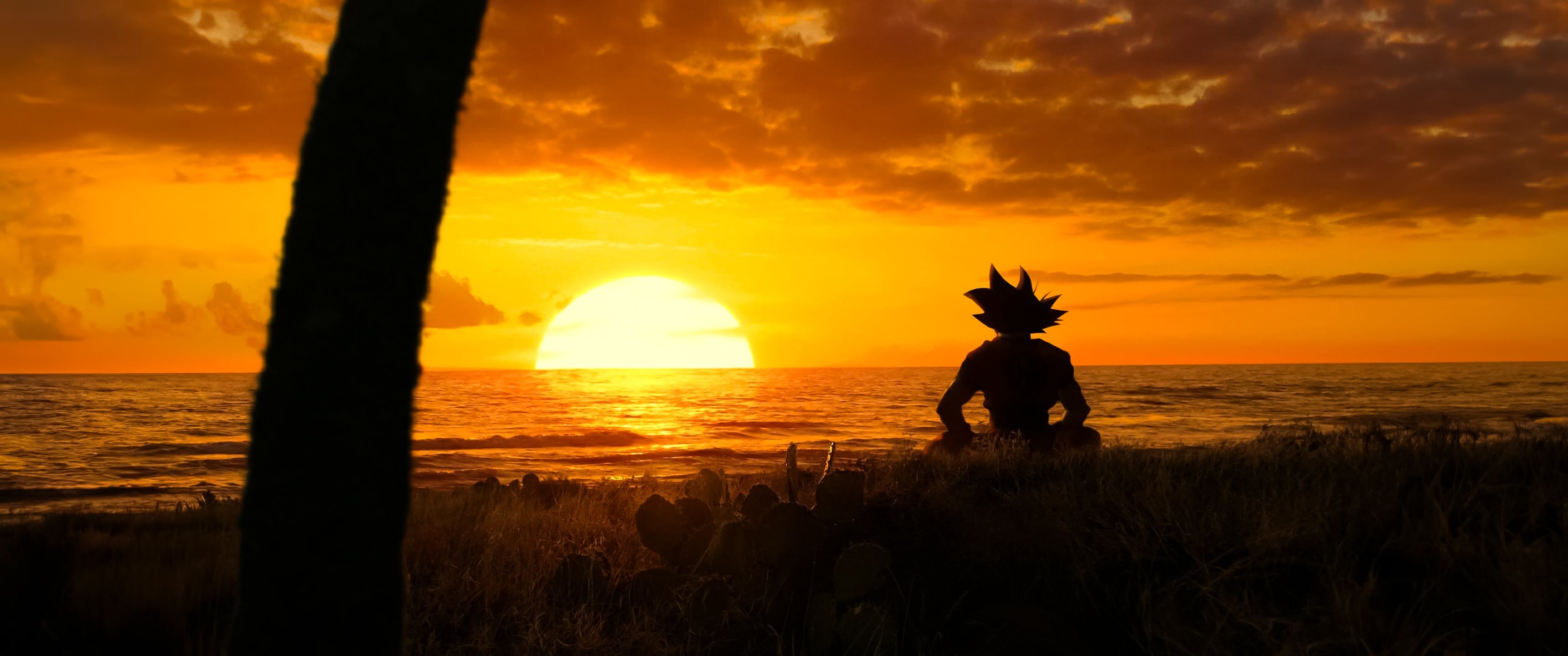 Dragon Ball Sunset Wallpapers - Top Free Dragon Ball Sunset Backgrounds - WallpaperAccess