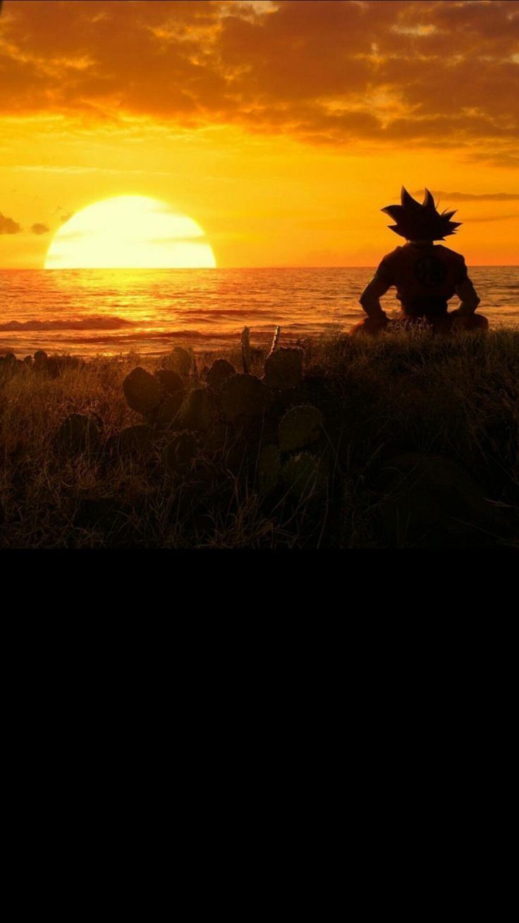 Dragon Ball Sunset Wallpapers - Top Free Dragon Ball Sunset Backgrounds ...