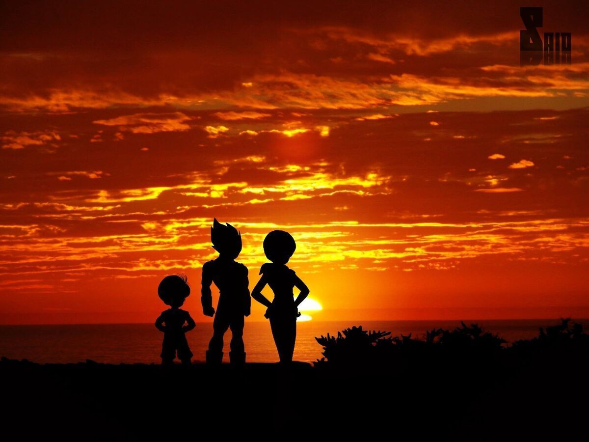 Dragon Ball Sunset Wallpapers - Top Free Dragon Ball Sunset Backgrounds ...