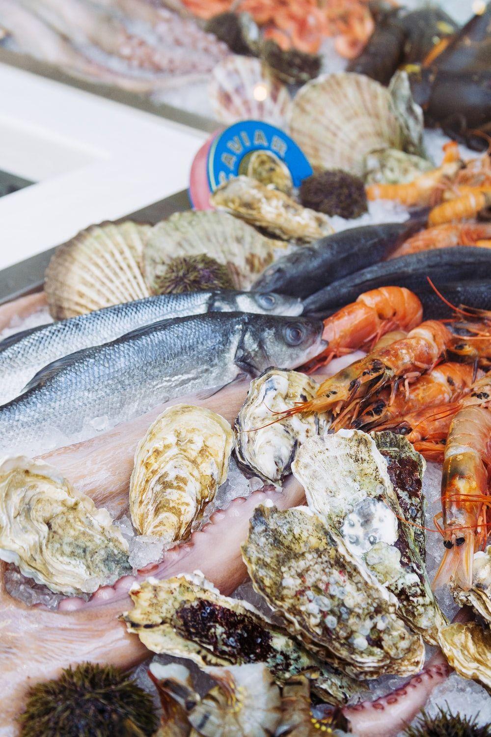 Seafood Wallpapers - Top Free Seafood Backgrounds - WallpaperAccess