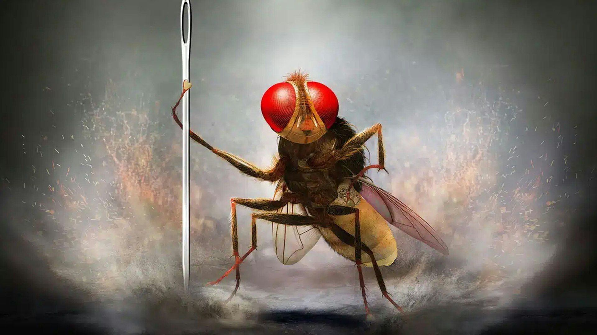 Eega Wallpapers - Top Free Eega Backgrounds - WallpaperAccess