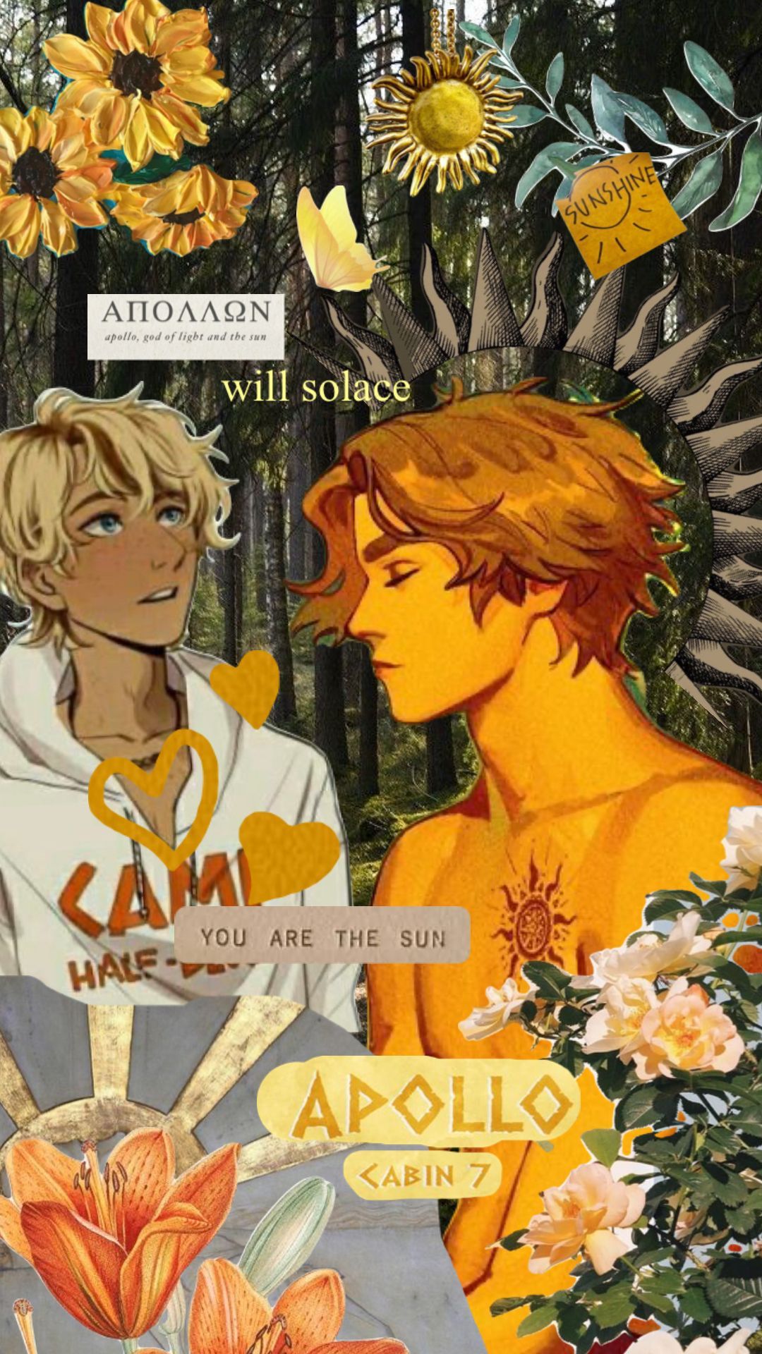 Will Solace Wallpapers - Top Free Will Solace Backgrounds - WallpaperAccess