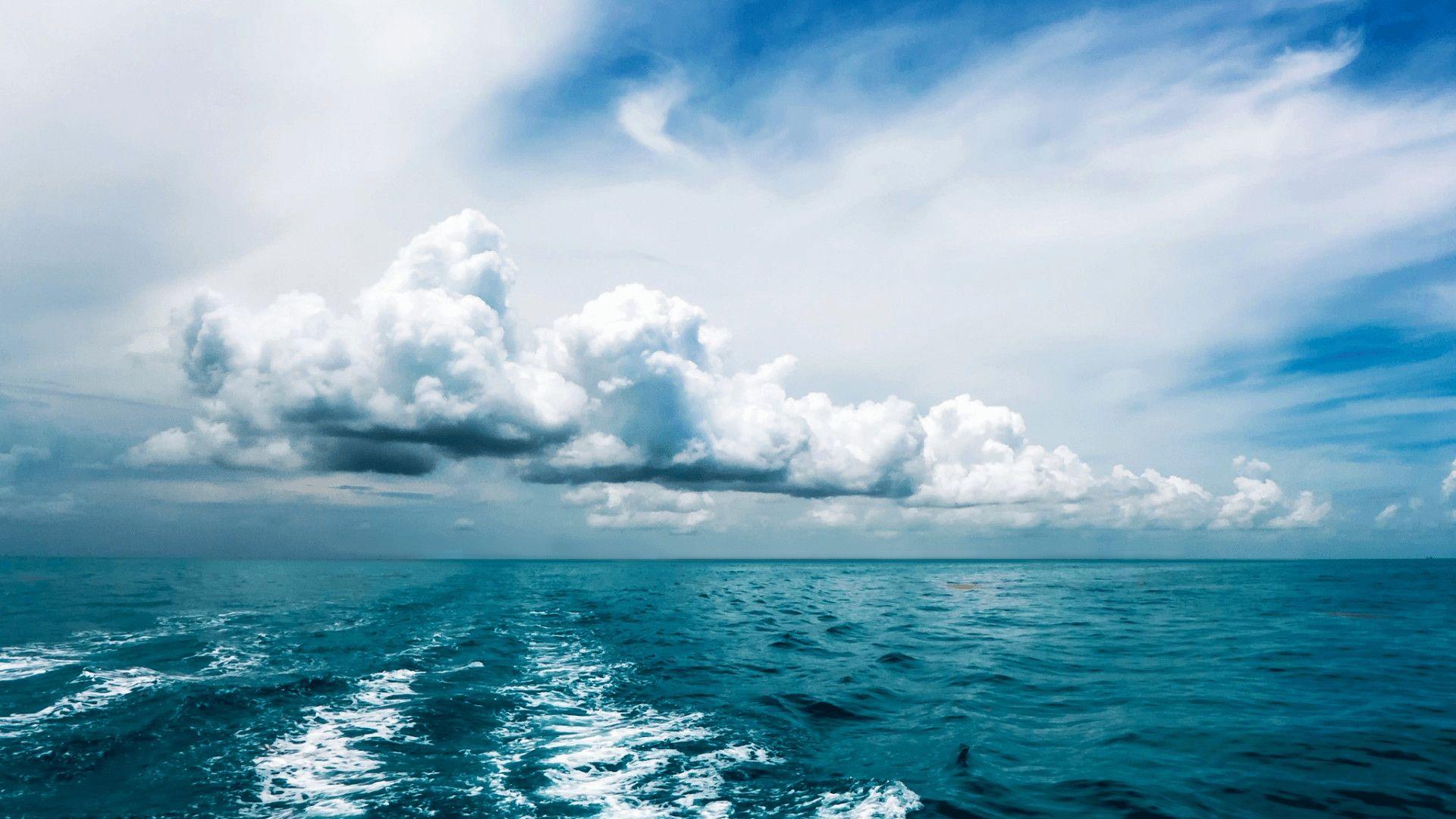 Ross Wallpapers - Top Free Ross Backgrounds - WallpaperAccess