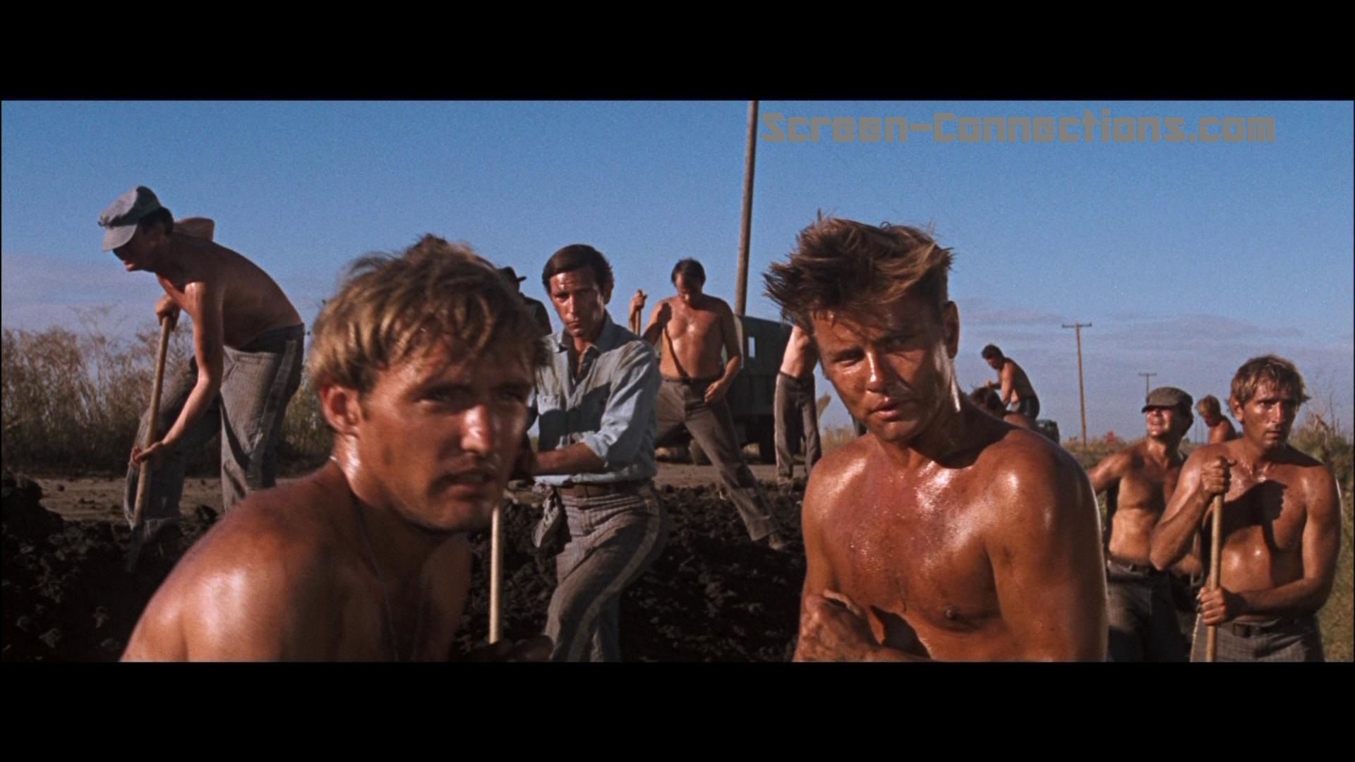 Cool Hand Luke Wallpapers - Top Free Cool Hand Luke Backgrounds ...