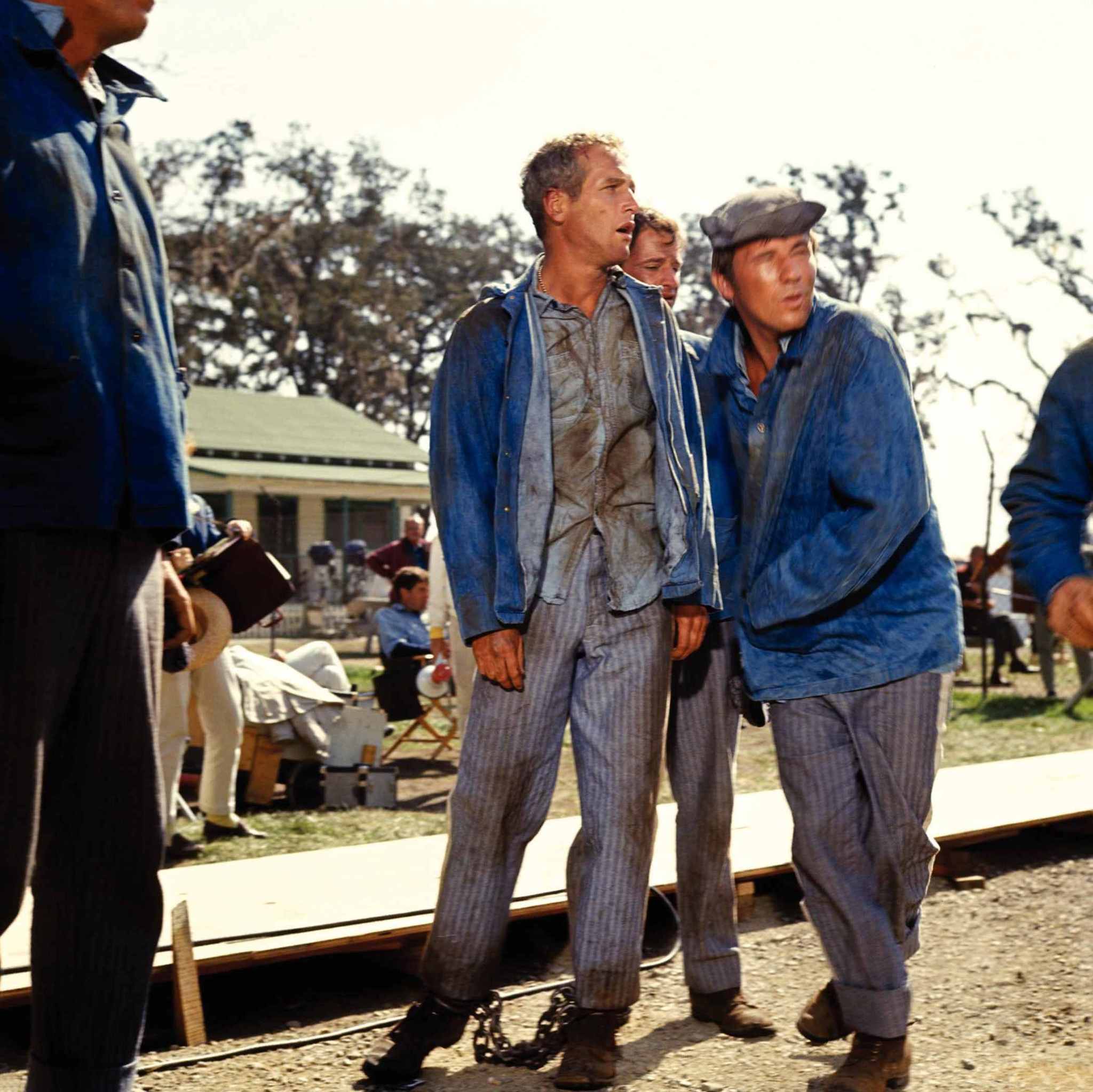 Cool Hand Luke Wallpapers - Top Free Cool Hand Luke Backgrounds ...
