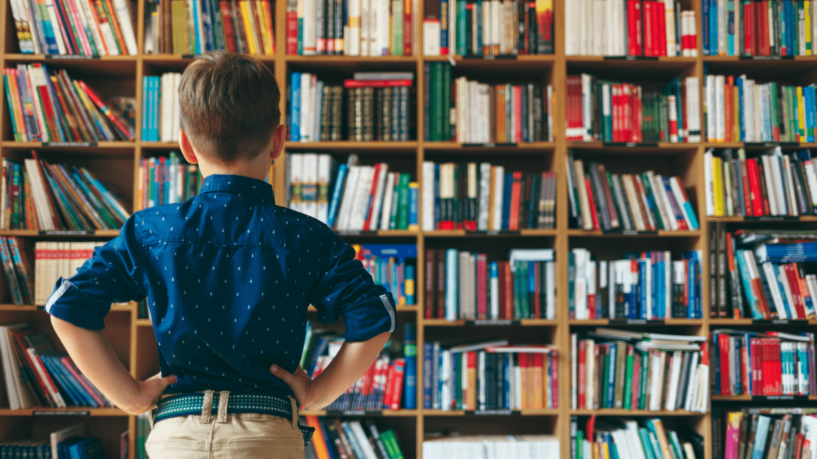 School Library Wallpapers - Top Free School Library Backgrounds ...