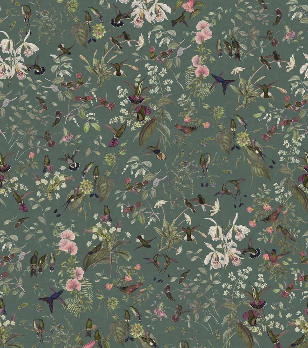 Lush Wallpapers - Top Free Lush Backgrounds - WallpaperAccess