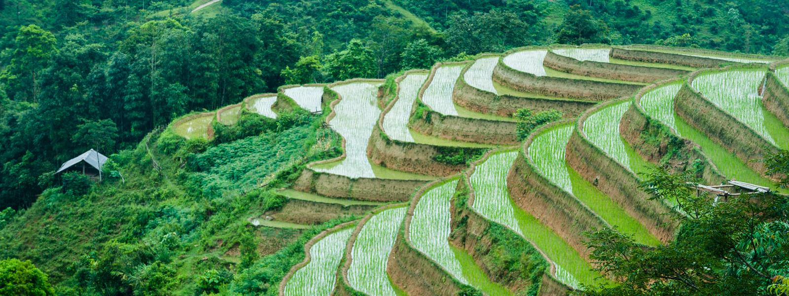 Hà Giang Wallpapers - Top Free Hà Giang Backgrounds - WallpaperAccess