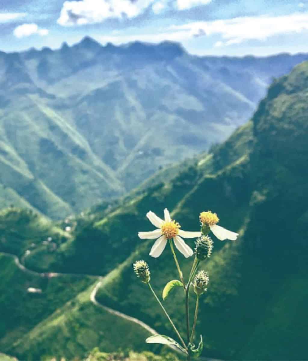 Hà Giang Wallpapers - Top Free Hà Giang Backgrounds - WallpaperAccess