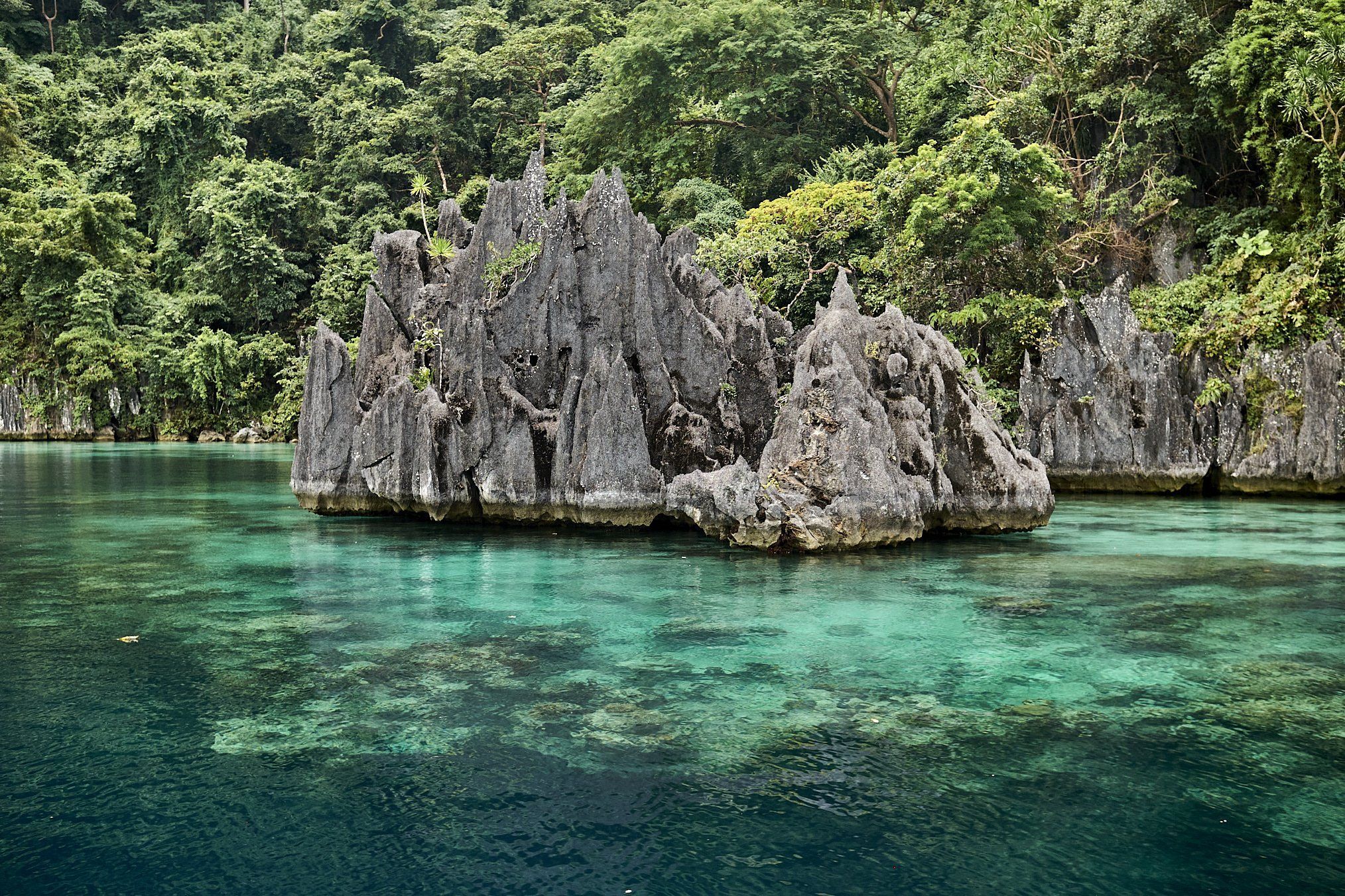 Coron Palawan Wallpapers - Top Free Coron Palawan Backgrounds ...