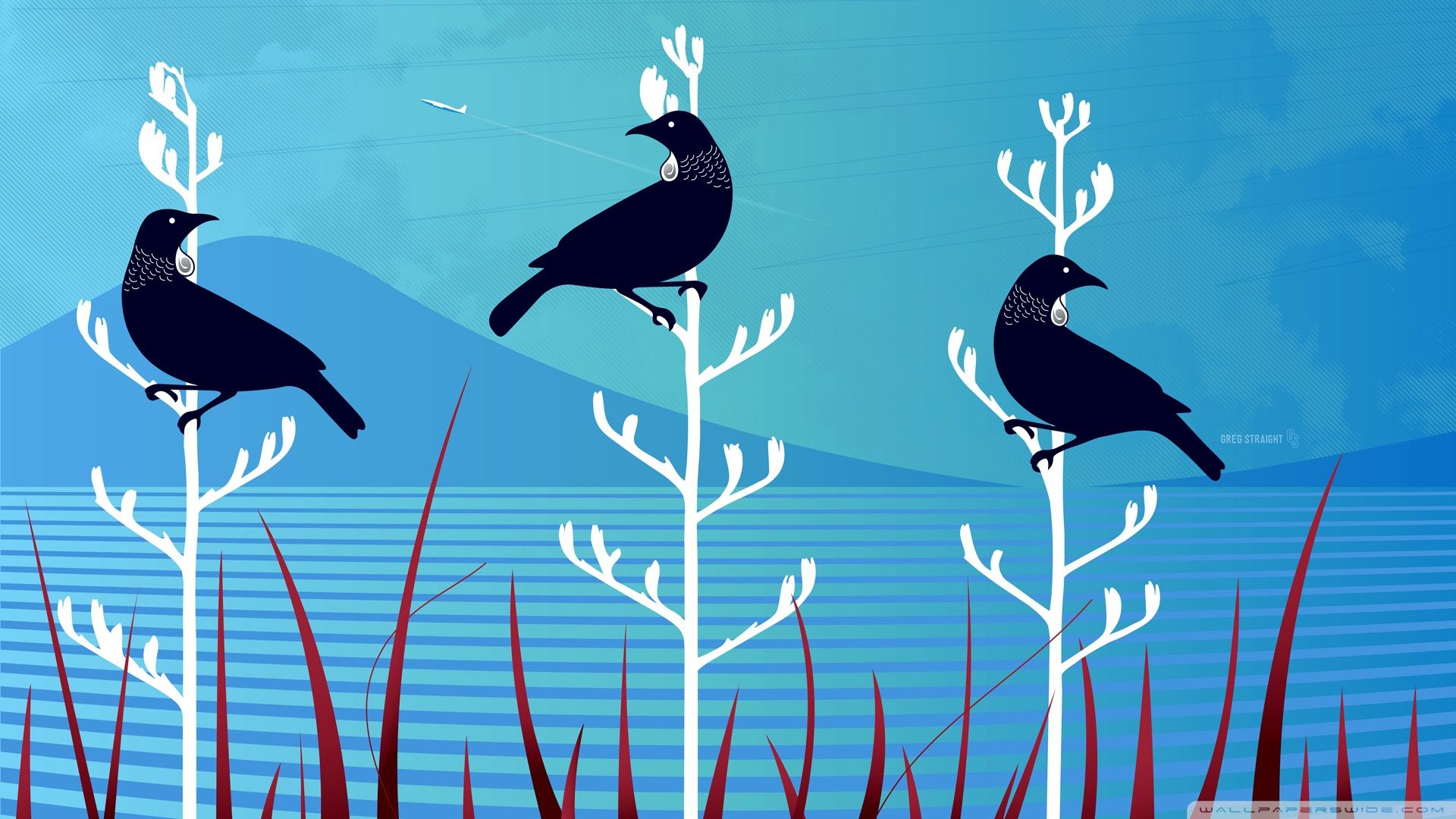 Tui Wallpapers - Top Free Tui Backgrounds - WallpaperAccess