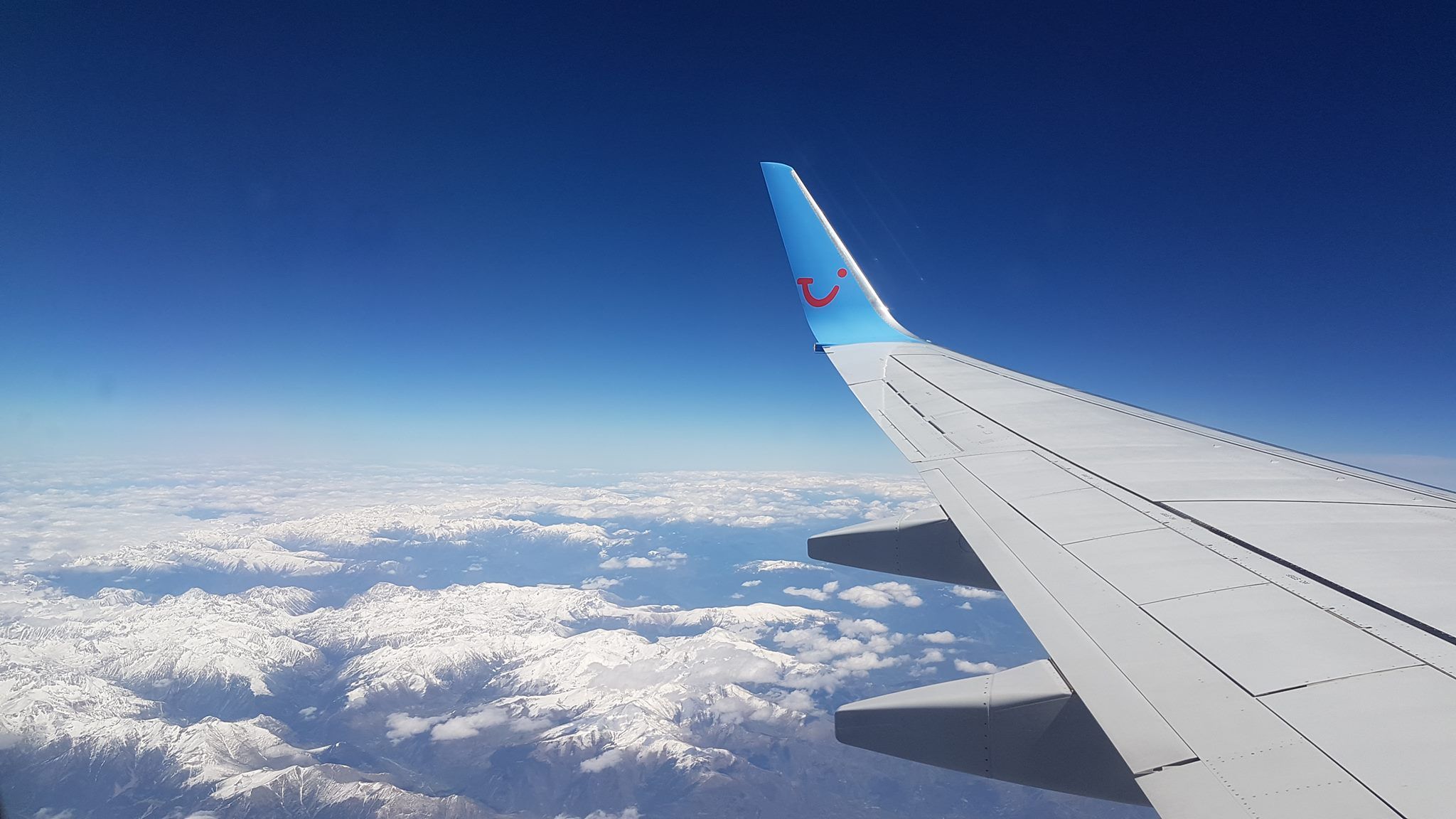 Tui Wallpapers - Top Free Tui Backgrounds - WallpaperAccess