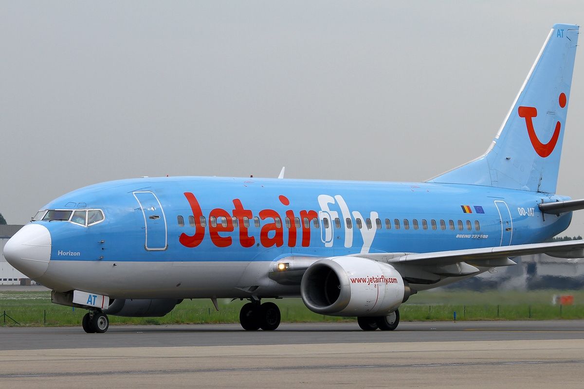 Tui Wallpapers - Top Free Tui Backgrounds - WallpaperAccess