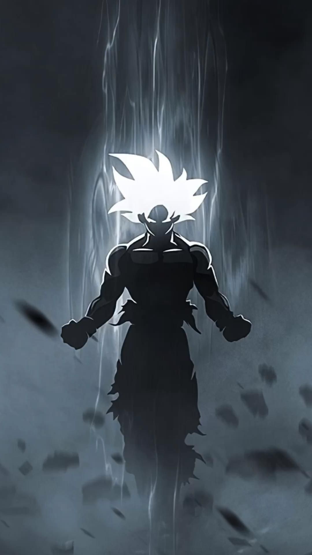 Goku Tui Wallpapers - Top Free Goku Tui Backgrounds - WallpaperAccess
