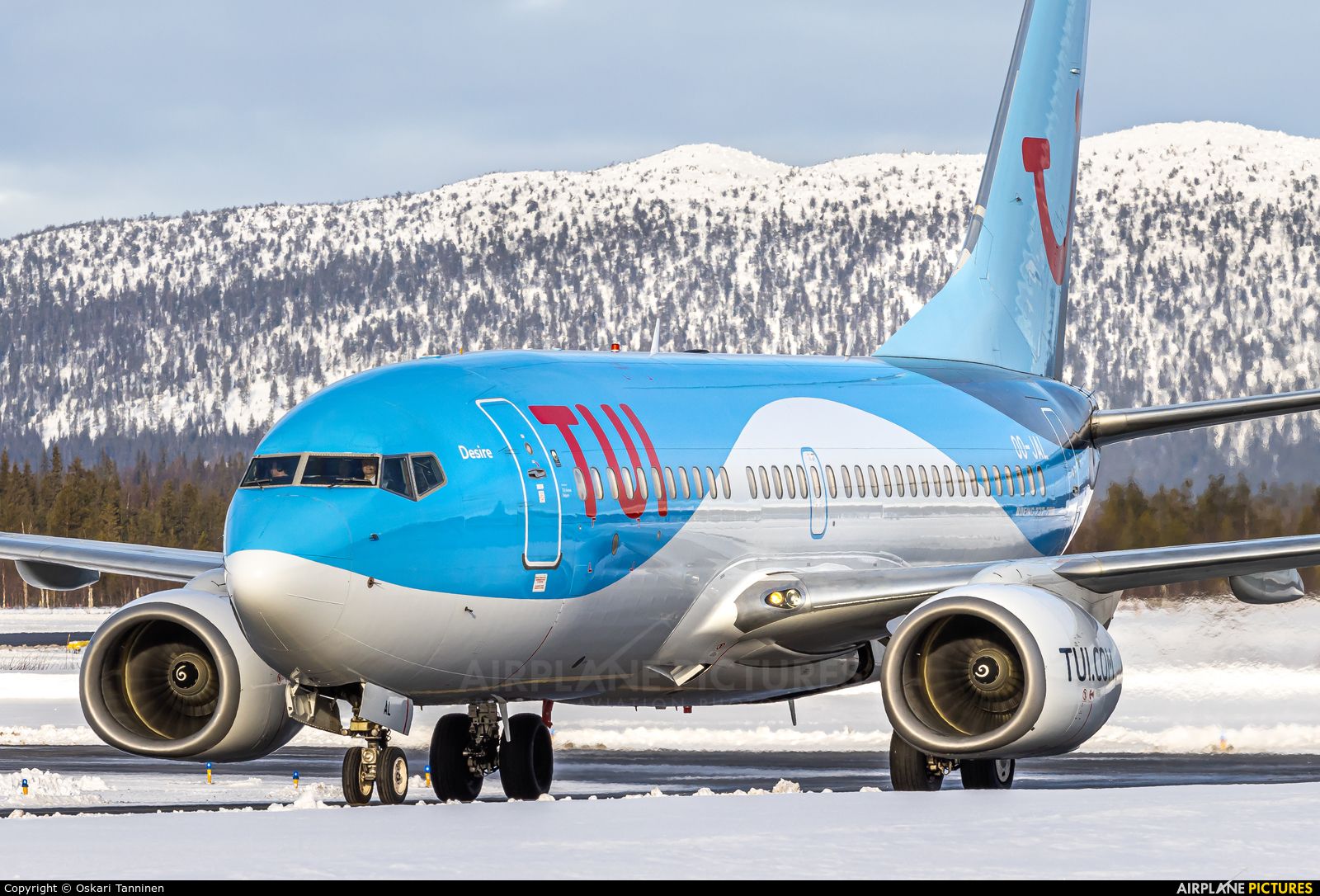 Tui Wallpapers - Top Free Tui Backgrounds - WallpaperAccess