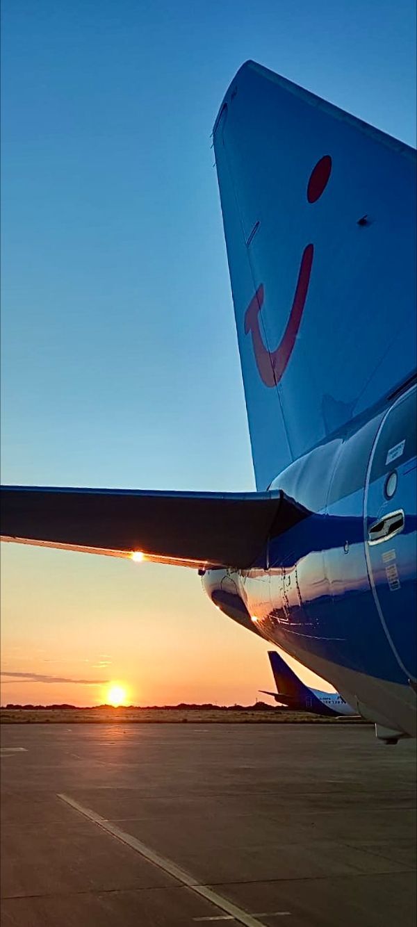 Tui Wallpapers - Top Free Tui Backgrounds - WallpaperAccess