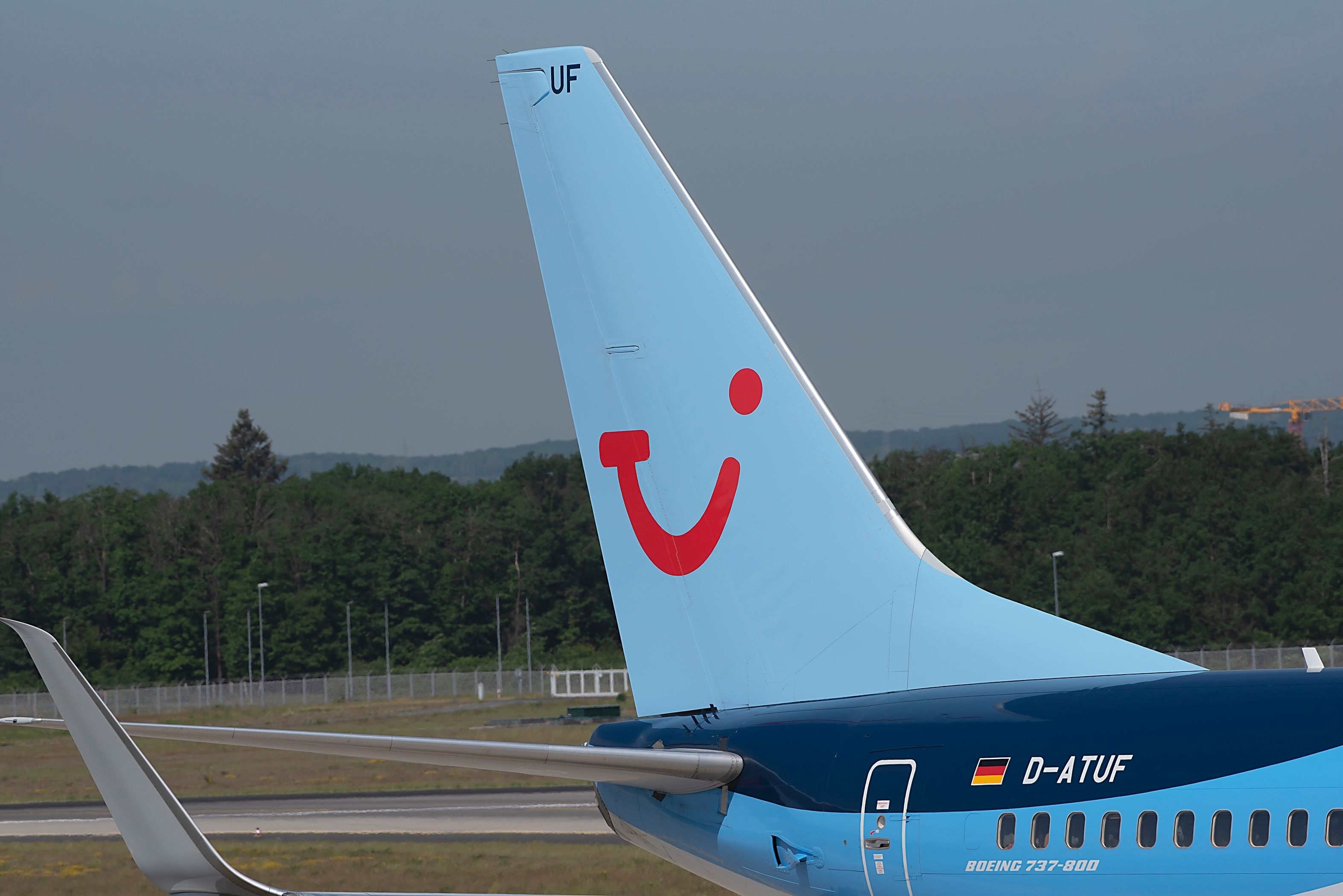 Tui Wallpapers - Top Free Tui Backgrounds - WallpaperAccess