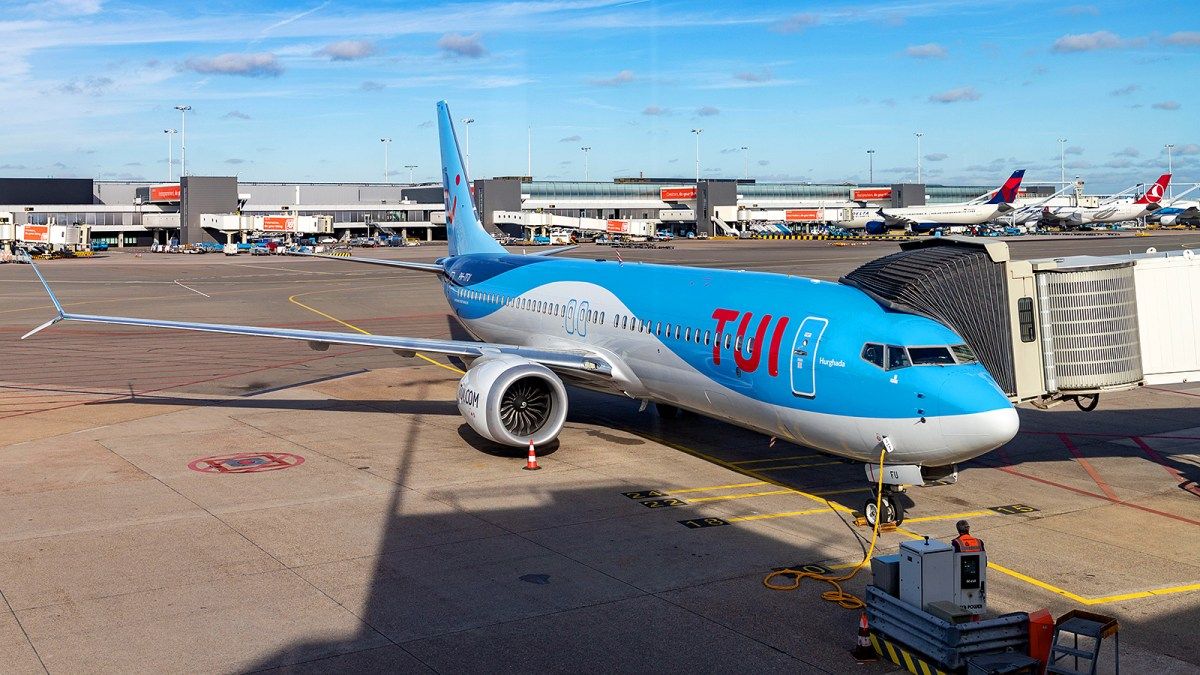 Tui Wallpapers - Top Free Tui Backgrounds - WallpaperAccess