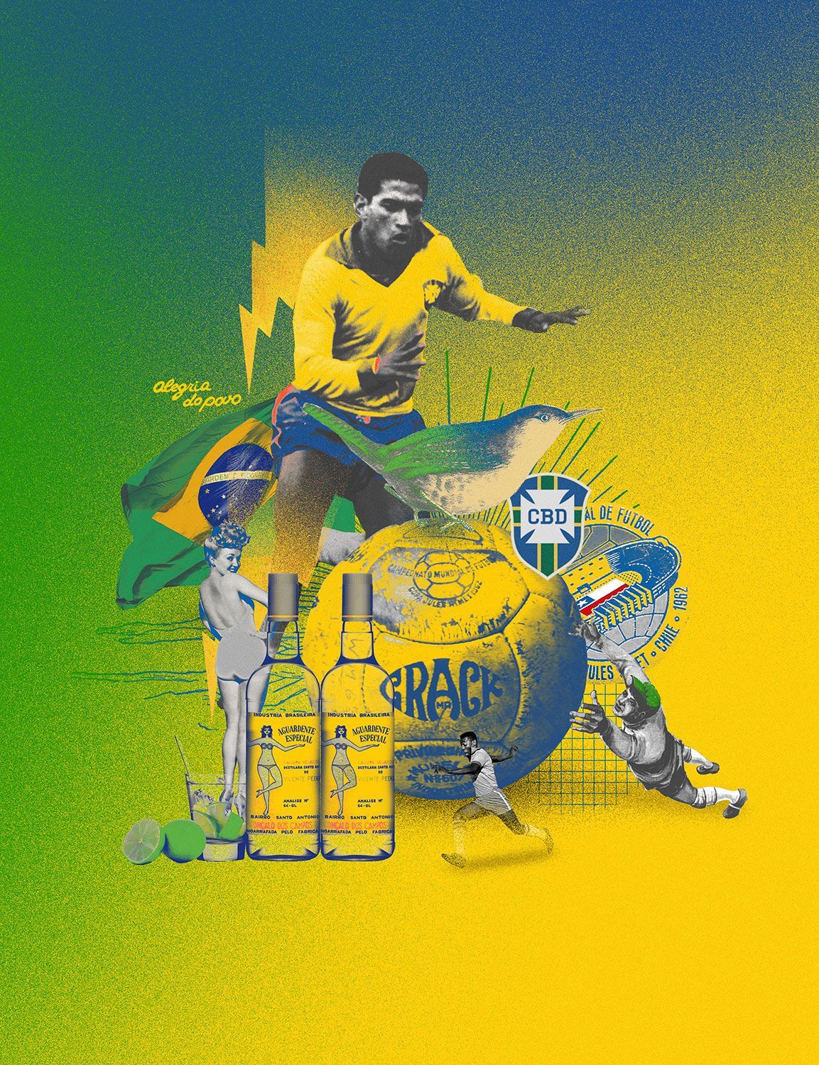 Garrincha Wallpapers - Top Free Garrincha Backgrounds - WallpaperAccess