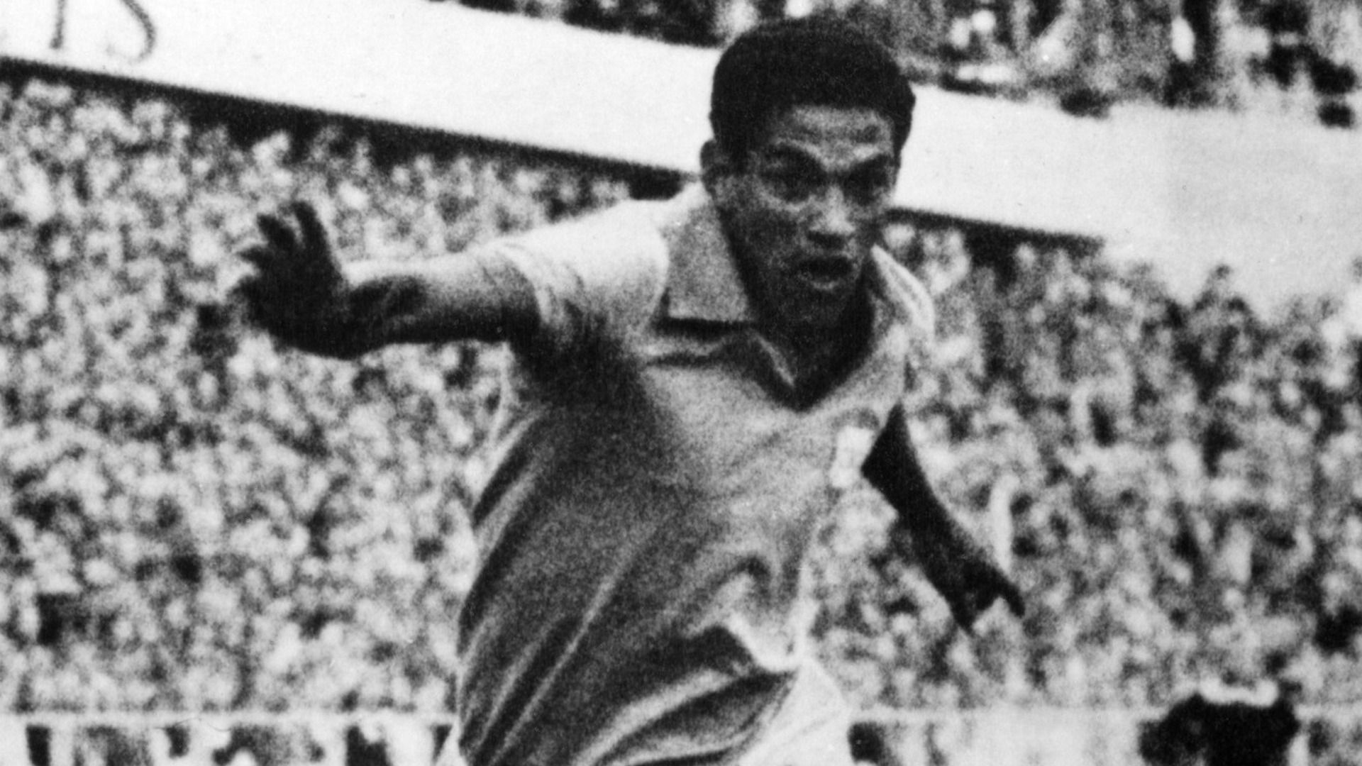Garrincha Wallpapers - Top Free Garrincha Backgrounds - WallpaperAccess