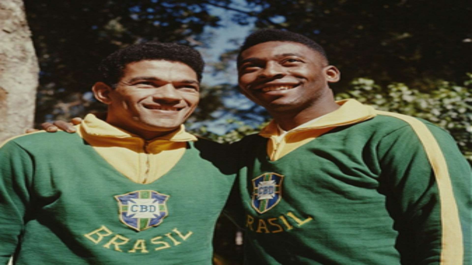 Garrincha Wallpapers - Top Free Garrincha Backgrounds - WallpaperAccess