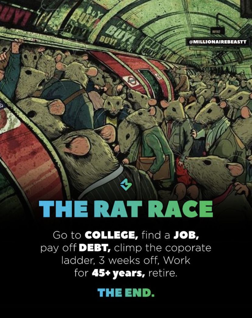 Rat Race Wallpapers - Top Free Rat Race Backgrounds - WallpaperAccess