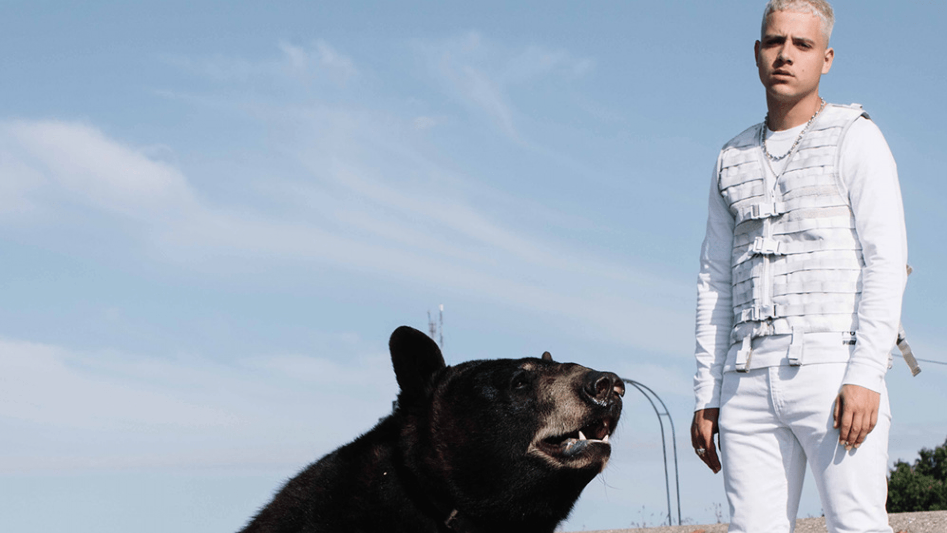 PLK Wallpapers - Top Free PLK Backgrounds - WallpaperAccess