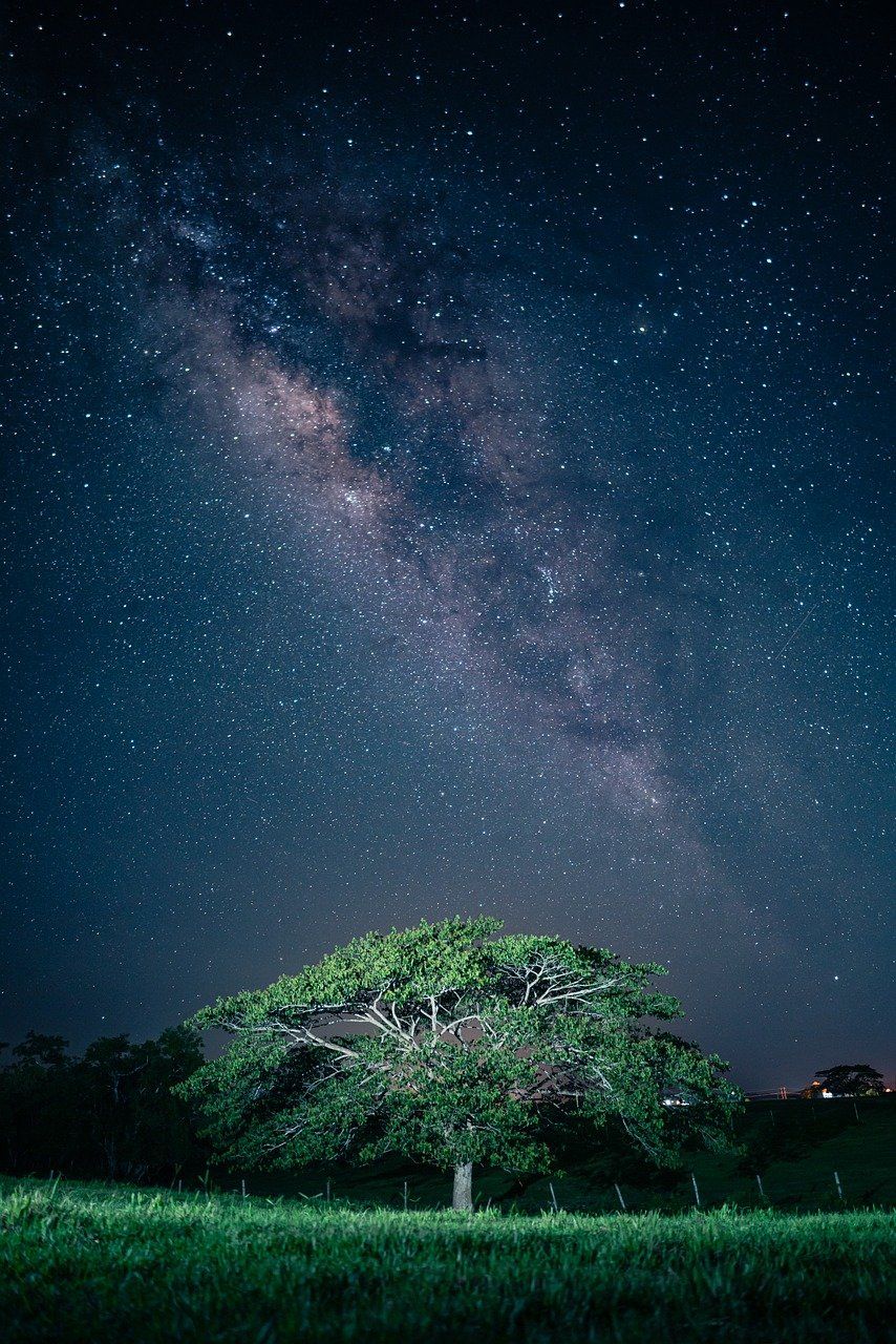 Pixabay Wallpapers - Top Free Pixabay Backgrounds - WallpaperAccess