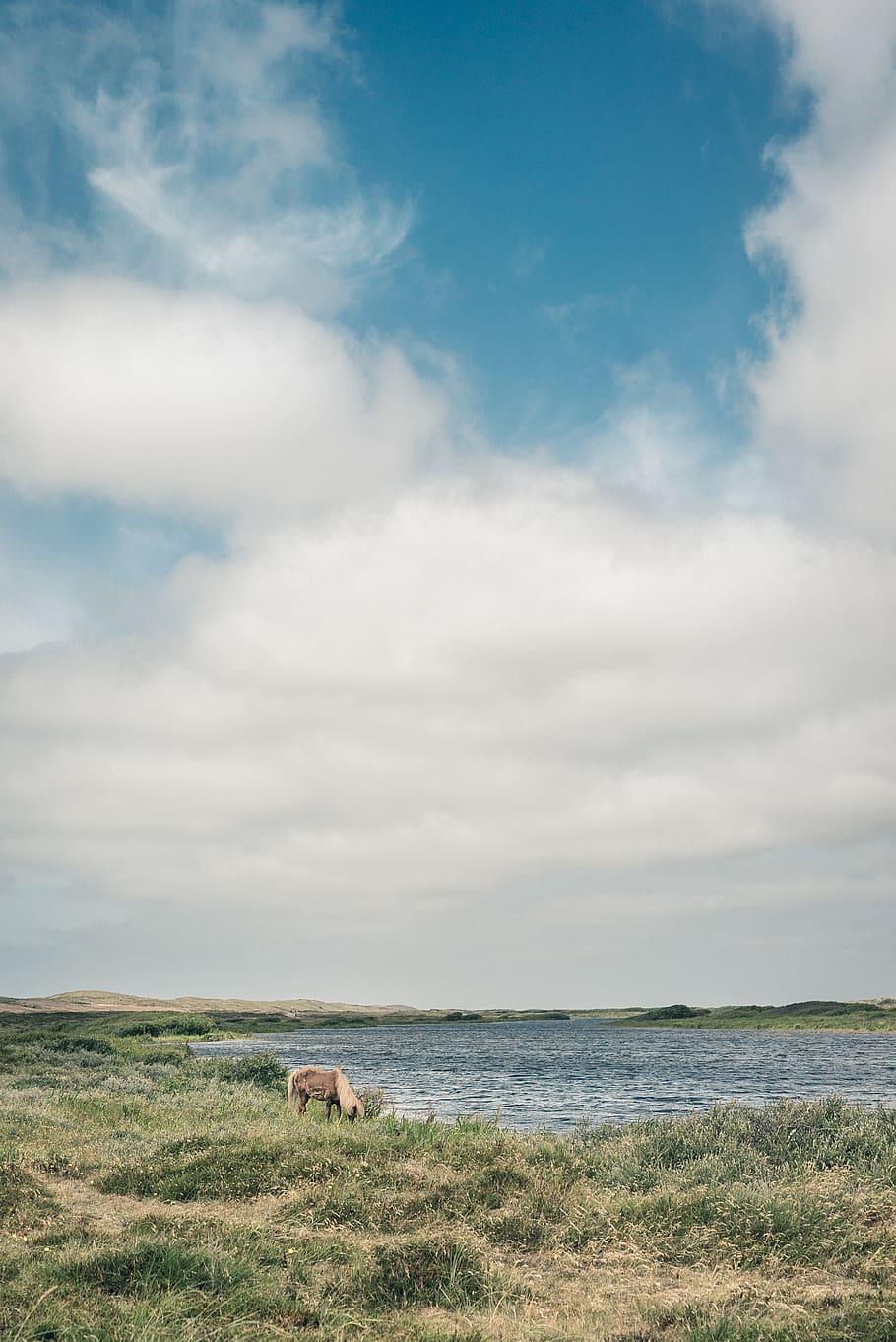 Denmark Landscape Wallpapers - Top Free Denmark Landscape Backgrounds ...