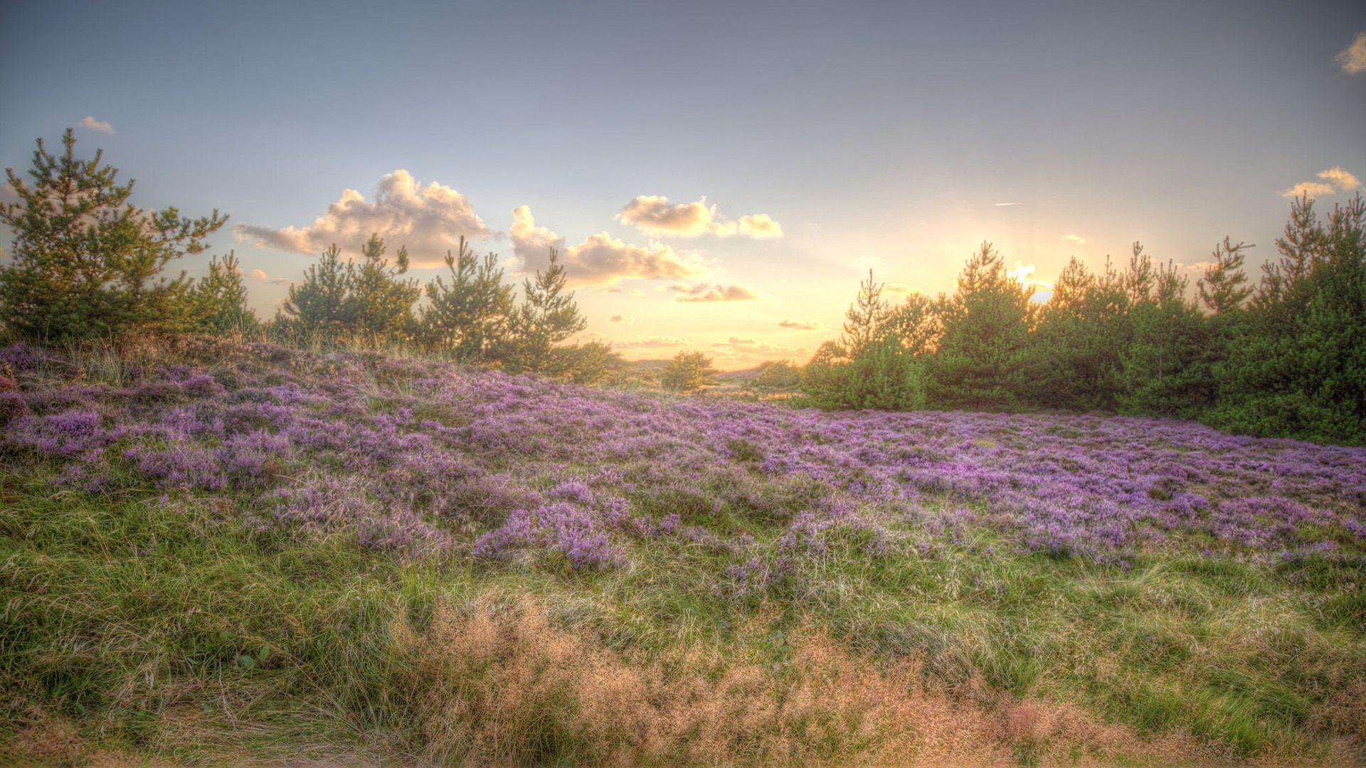 Denmark Landscape Wallpapers - Top Free Denmark Landscape Backgrounds ...