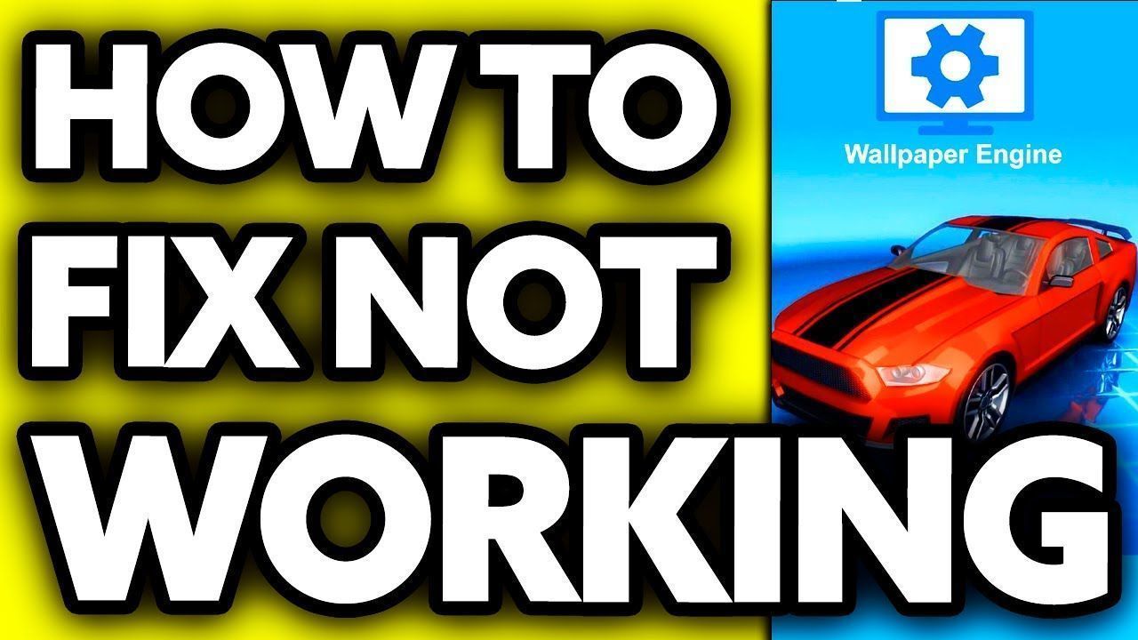 Why Not Wallpapers - Top Free Why Not Backgrounds - WallpaperAccess