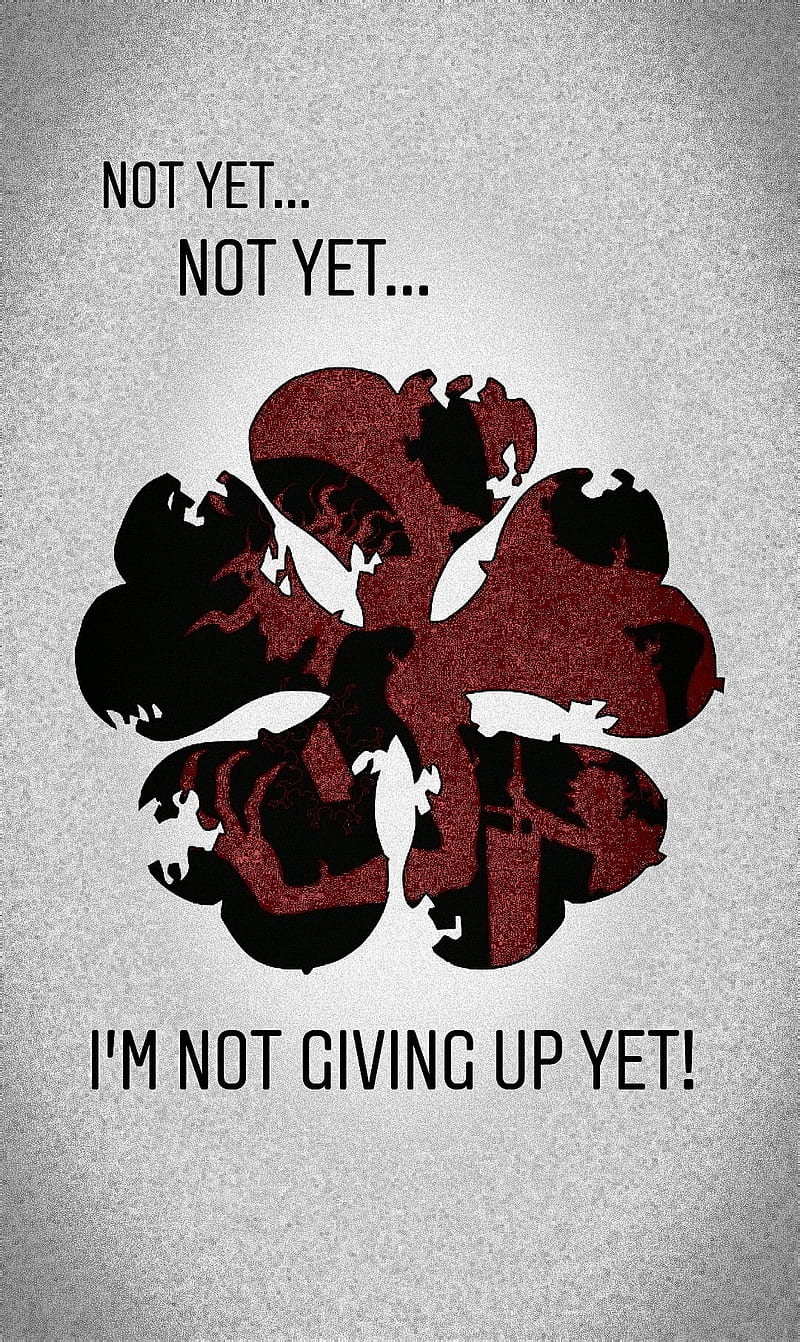 Why Not Wallpapers - Top Free Why Not Backgrounds - WallpaperAccess