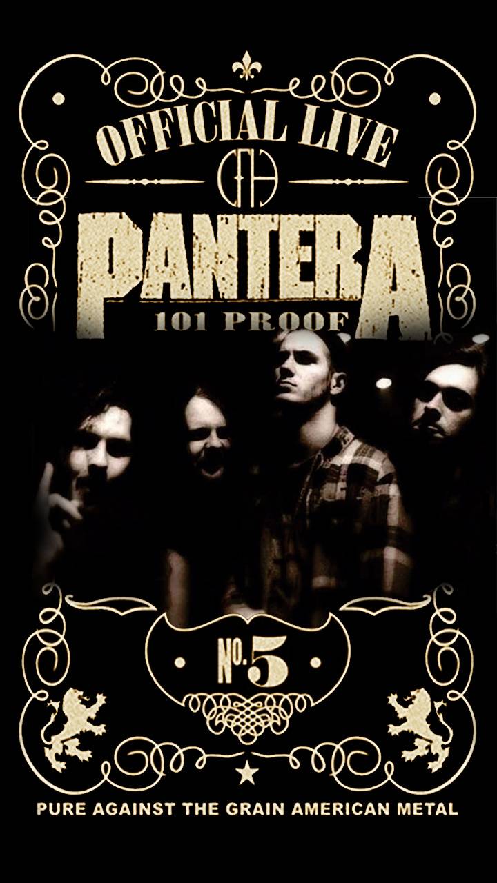 Pantera Wallpapers - Top Free Pantera Backgrounds - WallpaperAccess
