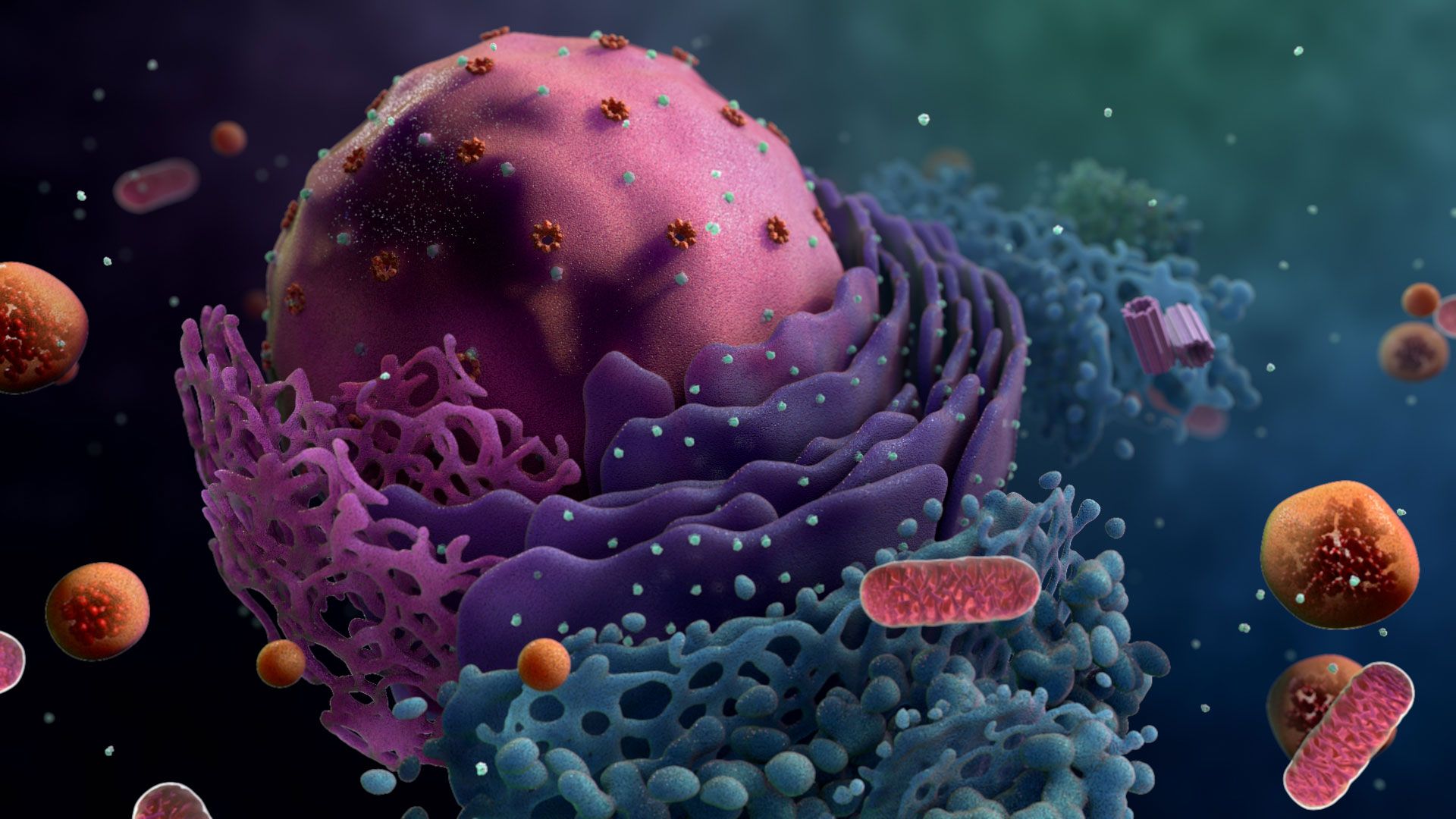 Animal Cell Wallpapers - Top Free Animal Cell Backgrounds - WallpaperAccess