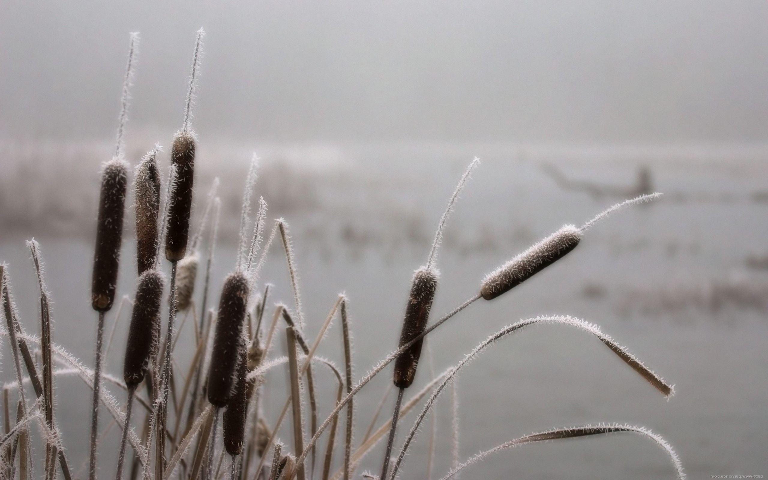 November Nature Wallpapers - Top Free November Nature Backgrounds ...