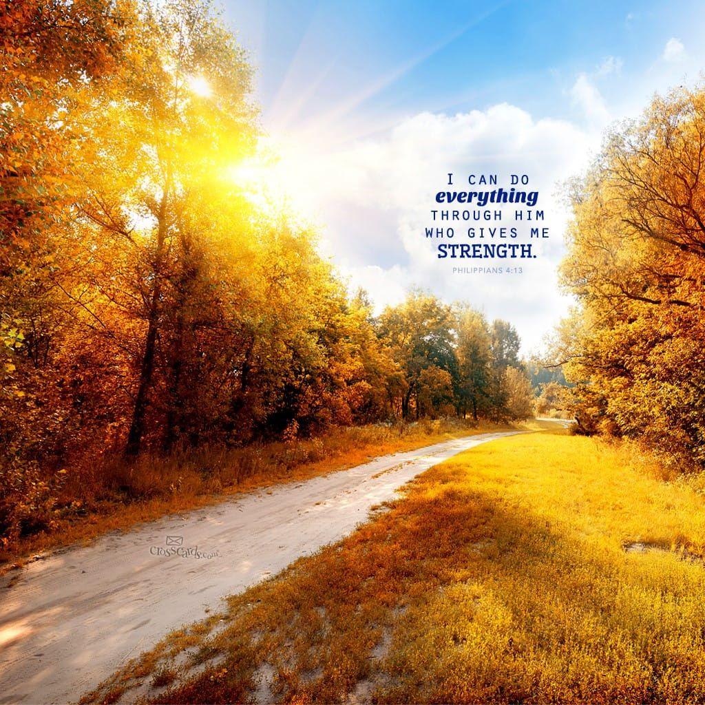 November Nature Wallpapers - Top Free November Nature Backgrounds ...