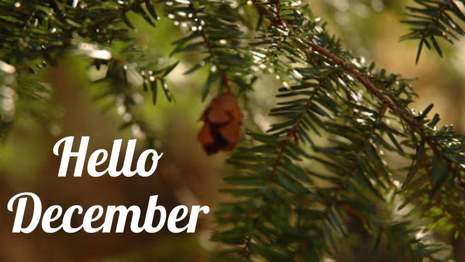Goodbye November Hello December Wallpapers - Top Free Goodbye November ...