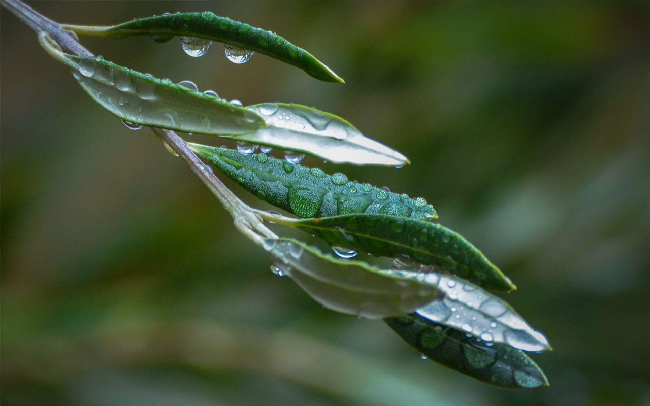 Beautiful November Wallpapers - Top Free Beautiful November Backgrounds ...