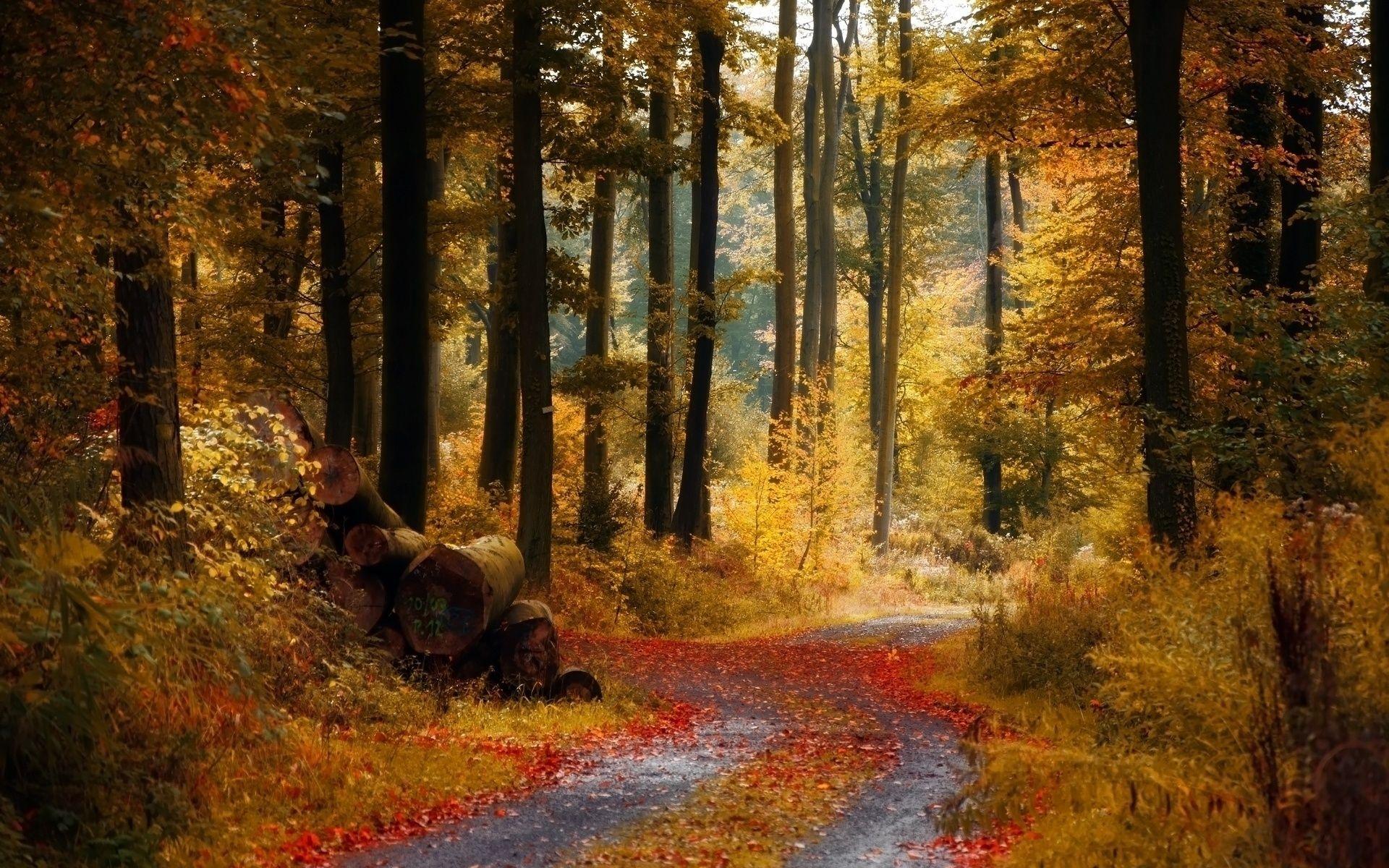 Beautiful November Wallpapers - Top Free Beautiful November Backgrounds ...