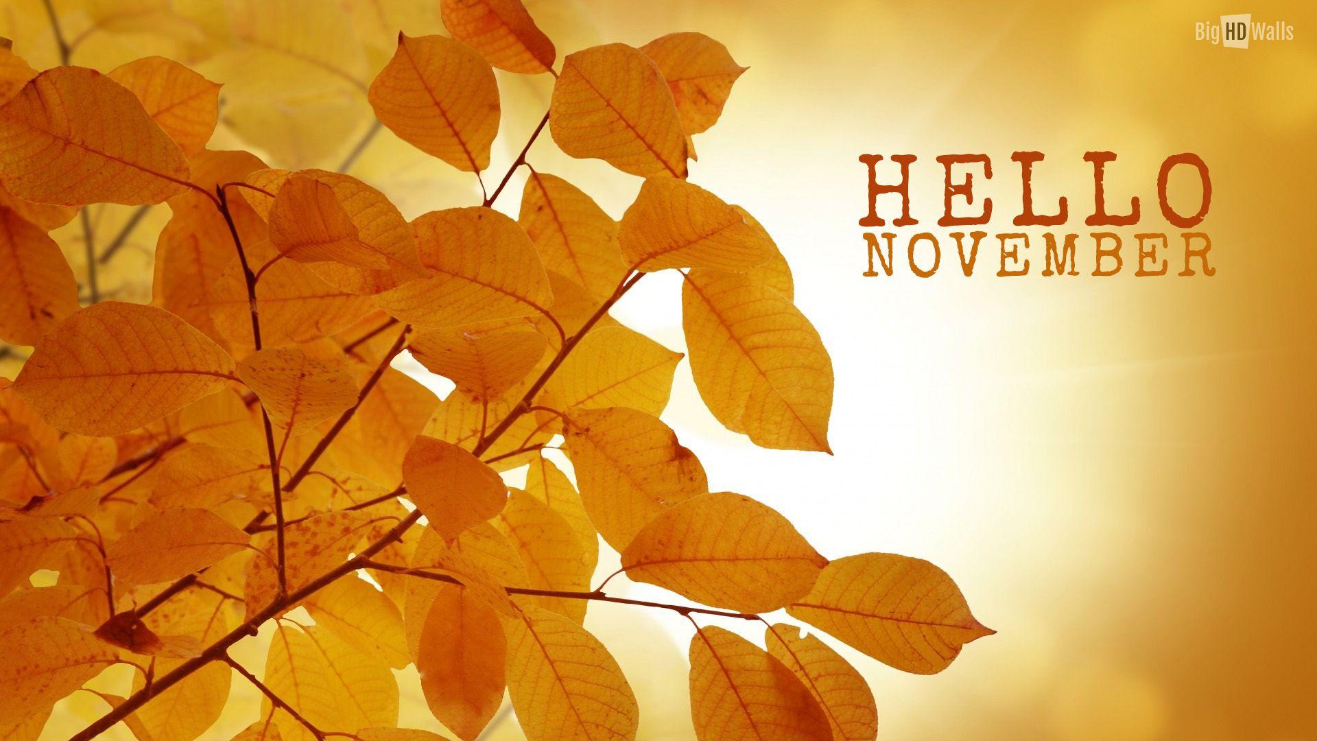 Pinterest Hello November Wallpapers - Top Free Pinterest Hello November ...