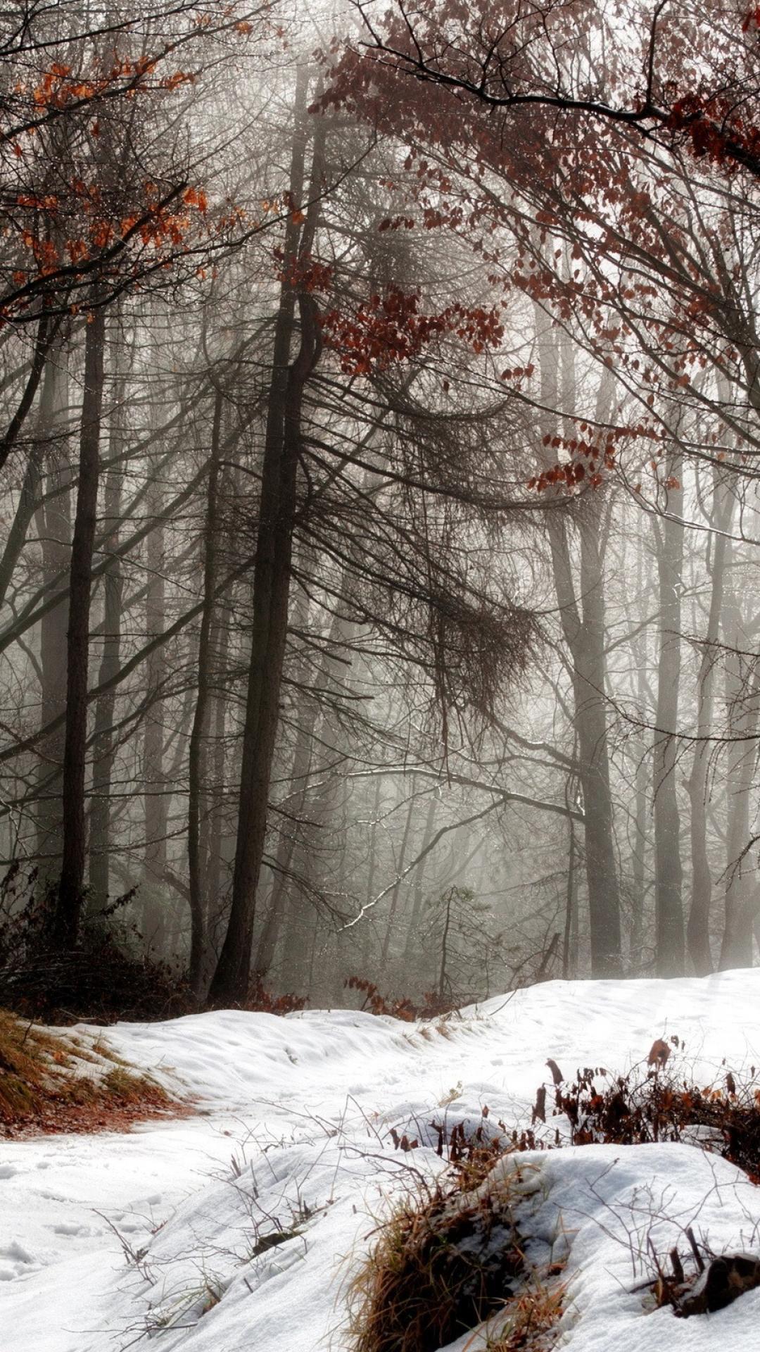 November Snow Wallpapers - Top Free November Snow Backgrounds ...