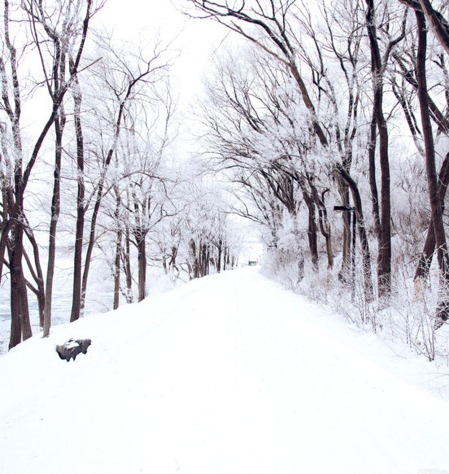 November Snow Wallpapers - Top Free November Snow Backgrounds ...