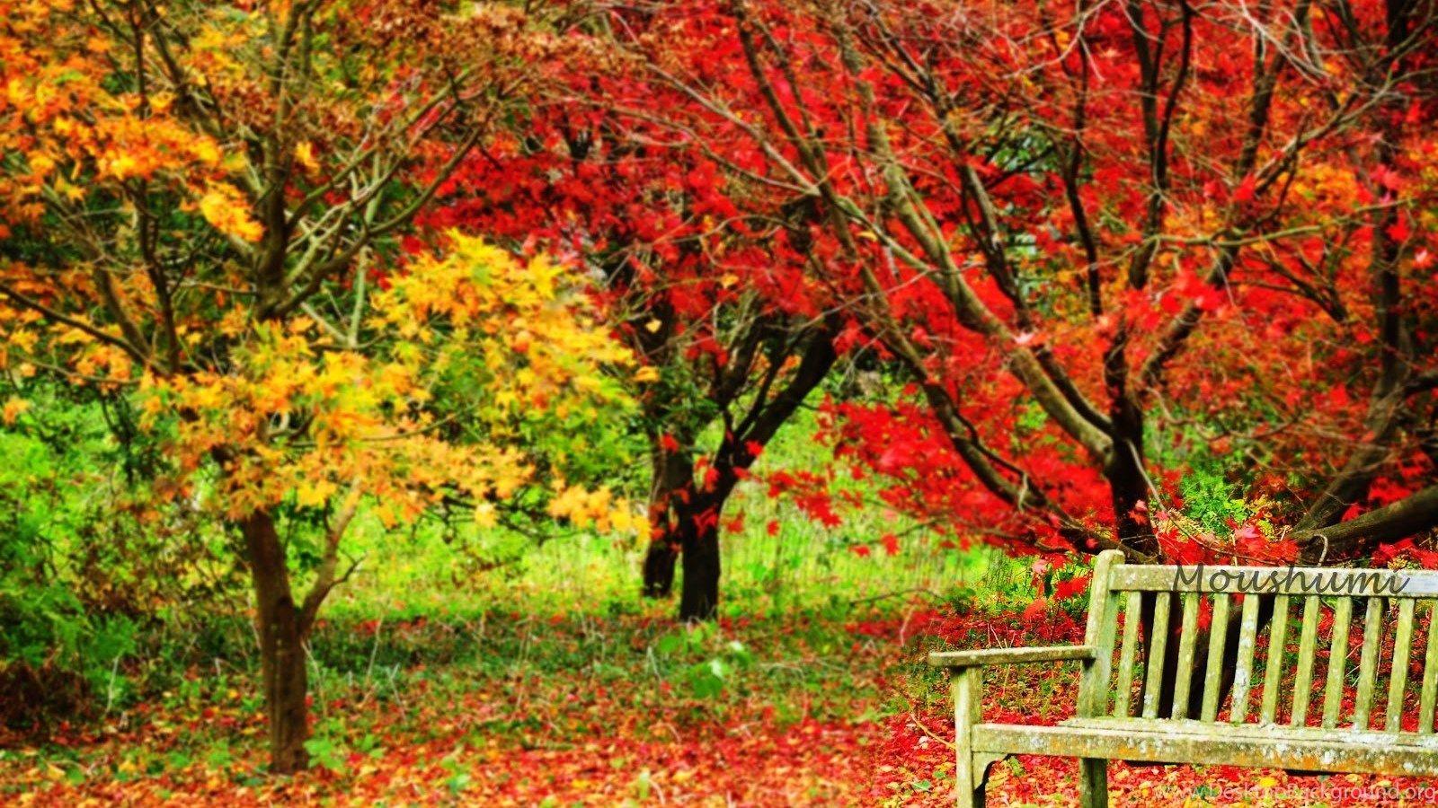 November Nature Wallpapers - Top Free November Nature Backgrounds ...