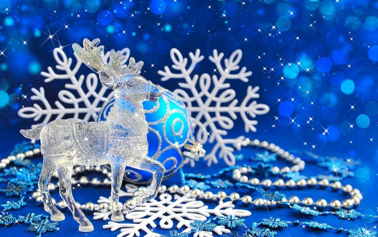 Christmas Reindeer Wallpapers - Top Free Christmas Reindeer Backgrounds ...