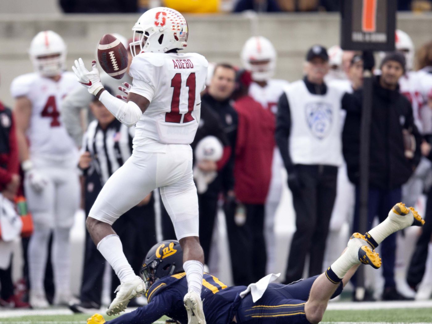 Paulson Adebo Wallpapers - Top Free Paulson Adebo Backgrounds ...