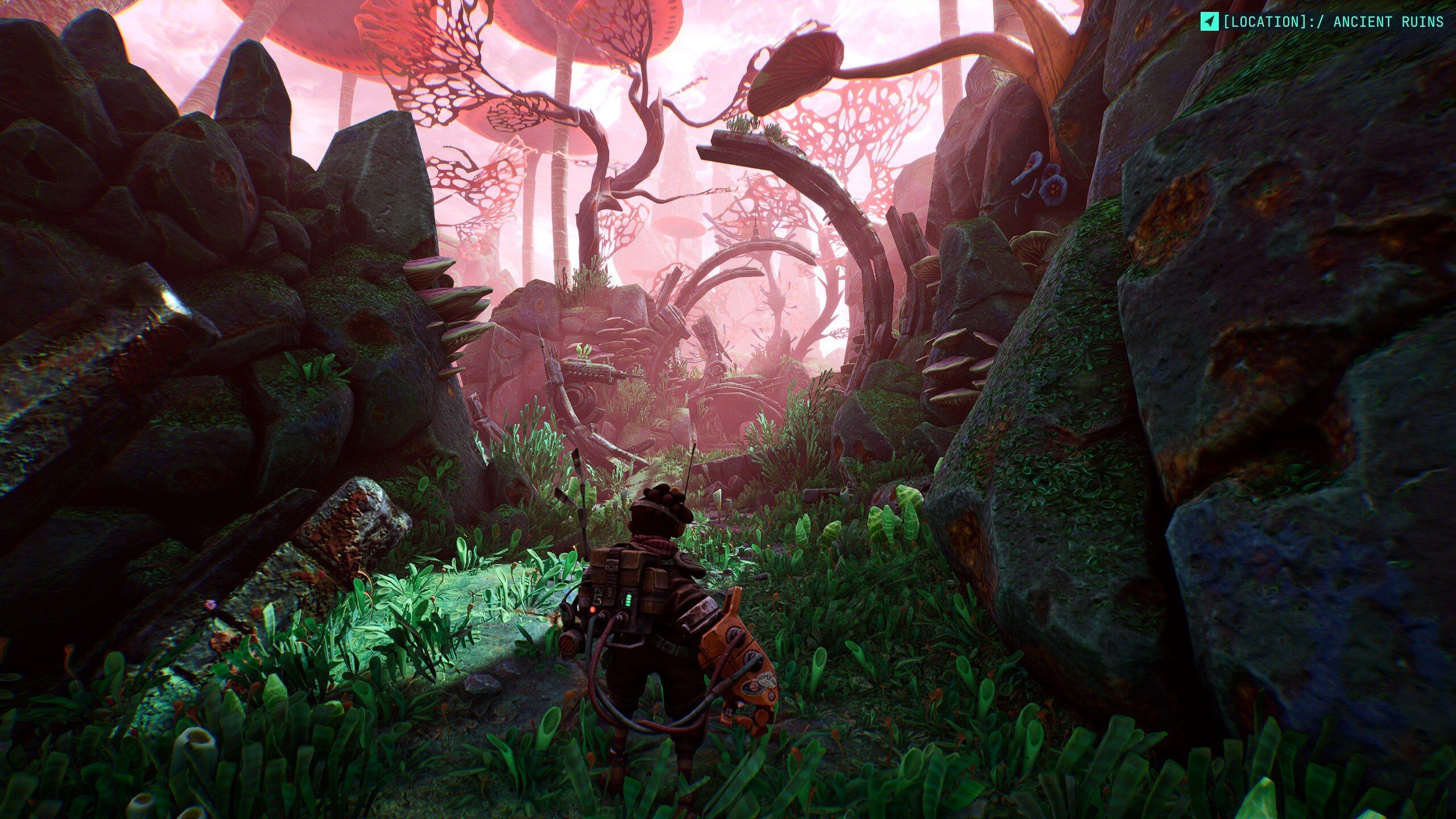 The Gunk Wallpapers - Top Free The Gunk Backgrounds - WallpaperAccess