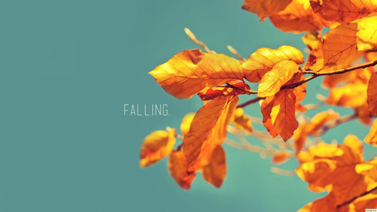 November Autumn Wallpapers - Top Free November Autumn Backgrounds ...